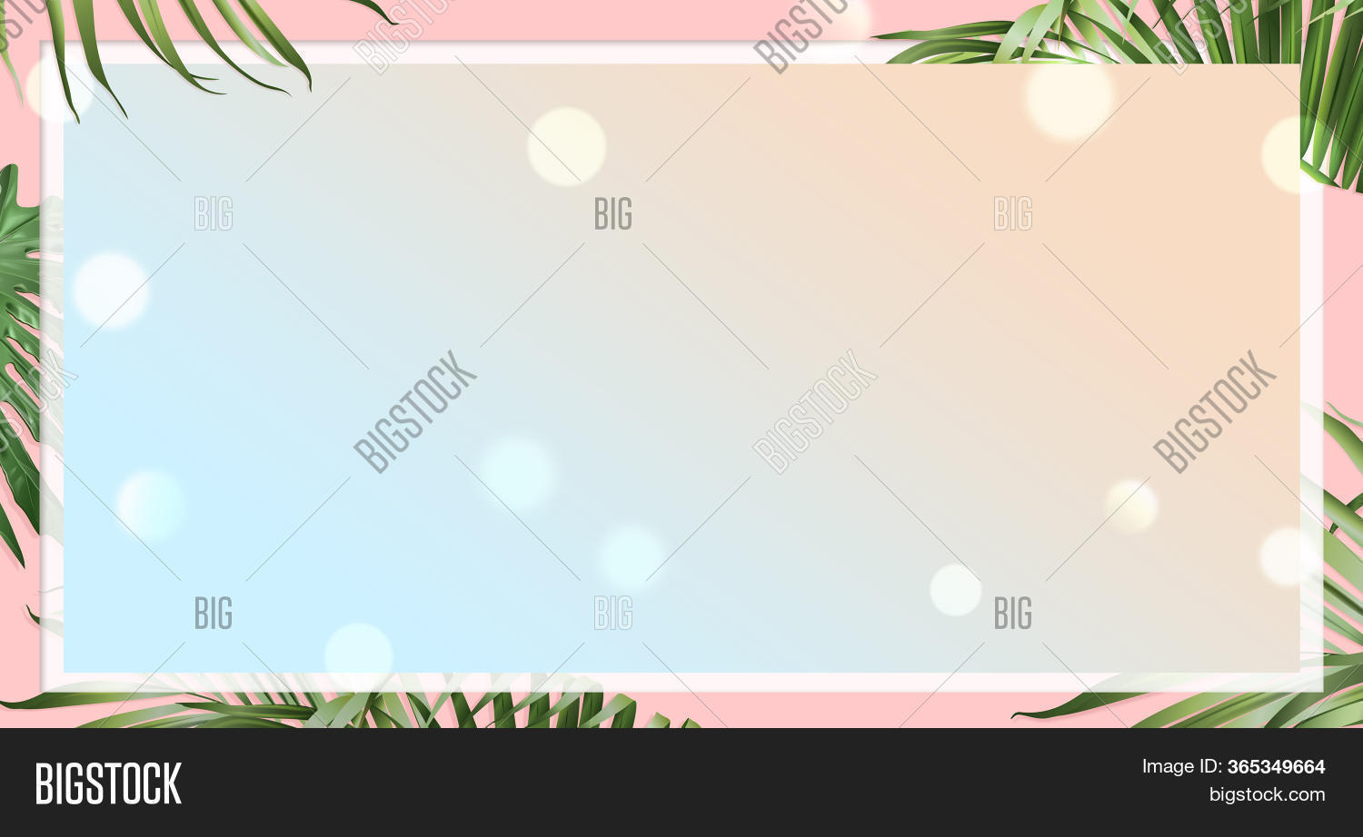 Website Banner Pink Image & Photo (Free Trial) | Bigstock