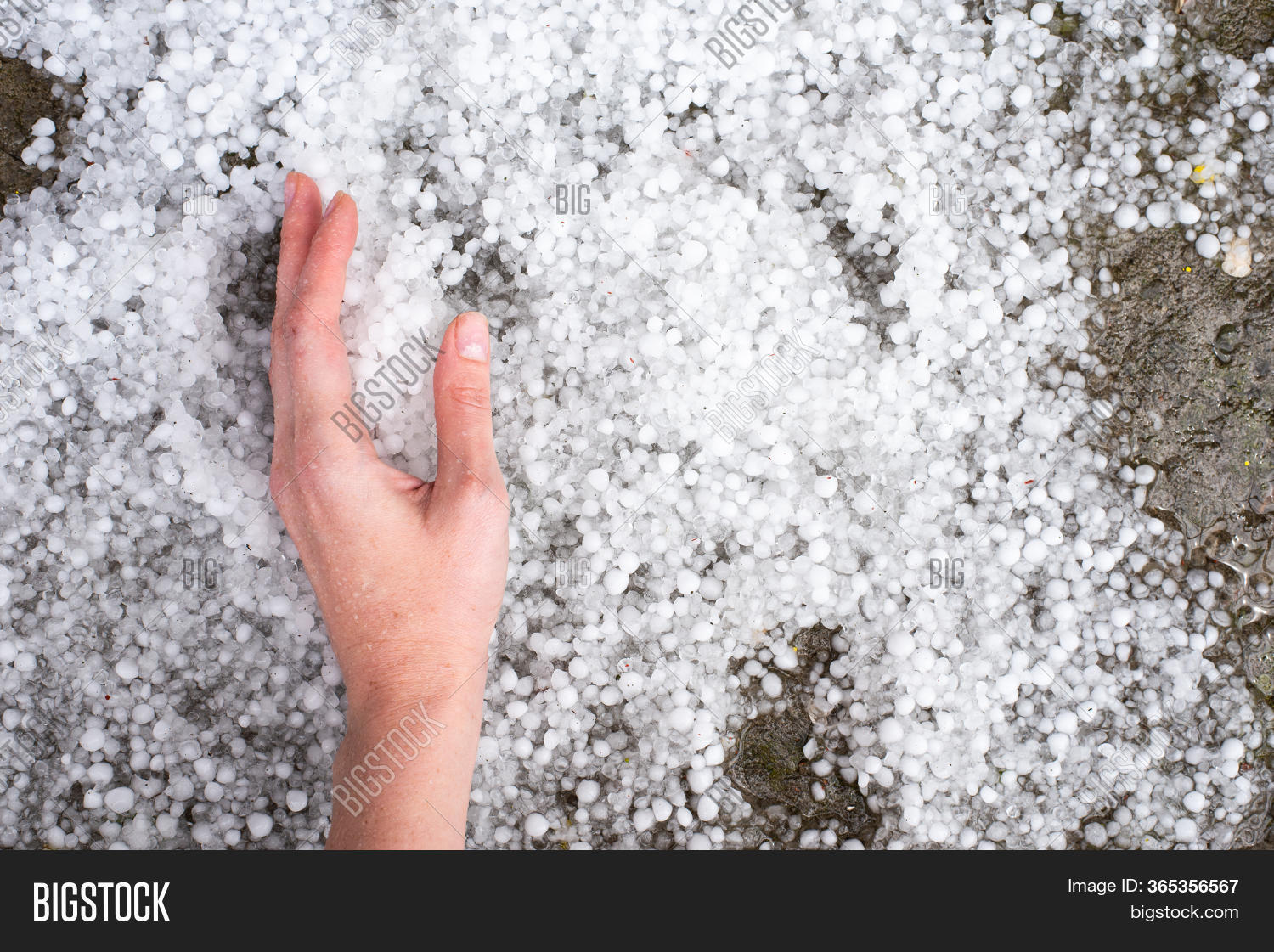 Hand Lies On Ground Image & Photo (Free Trial) | Bigstock
