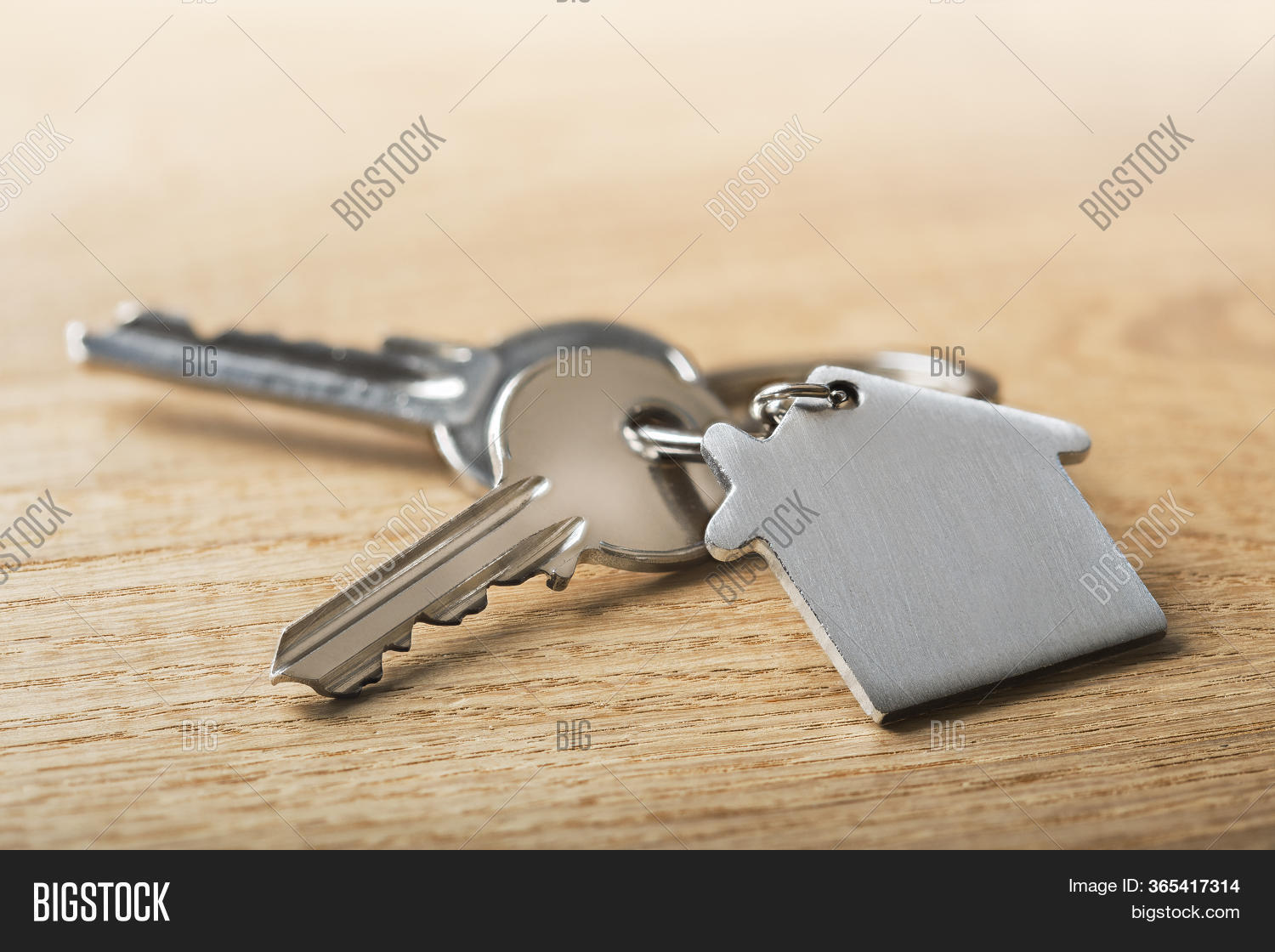 House Key On House Image & Photo (Free Trial) | Bigstock