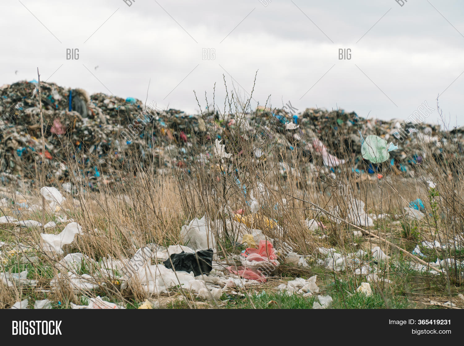 City Dump. Huge Image & Photo (Free Trial) | Bigstock