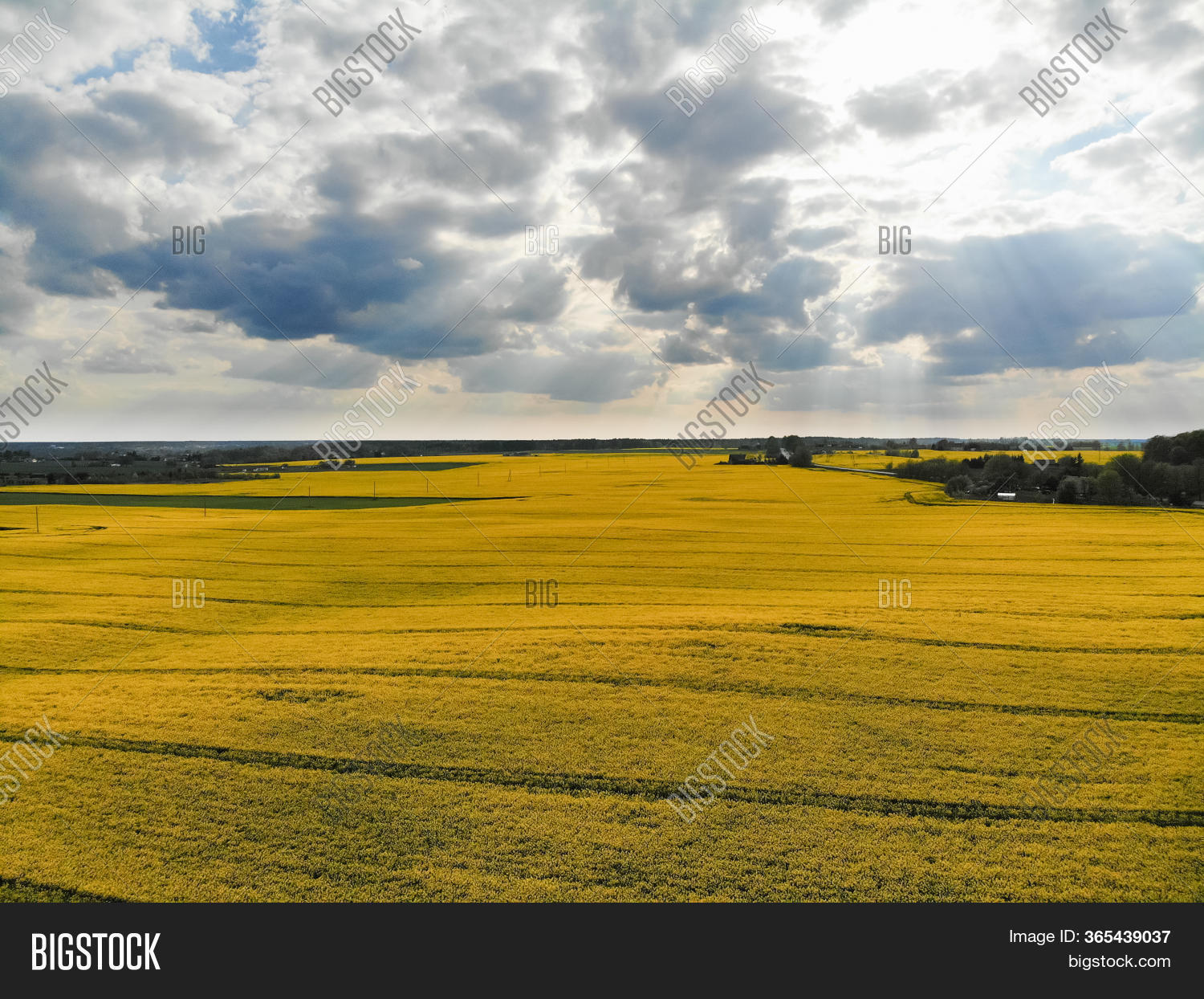 Aerial View Yellow Image & Photo (Free Trial) | Bigstock