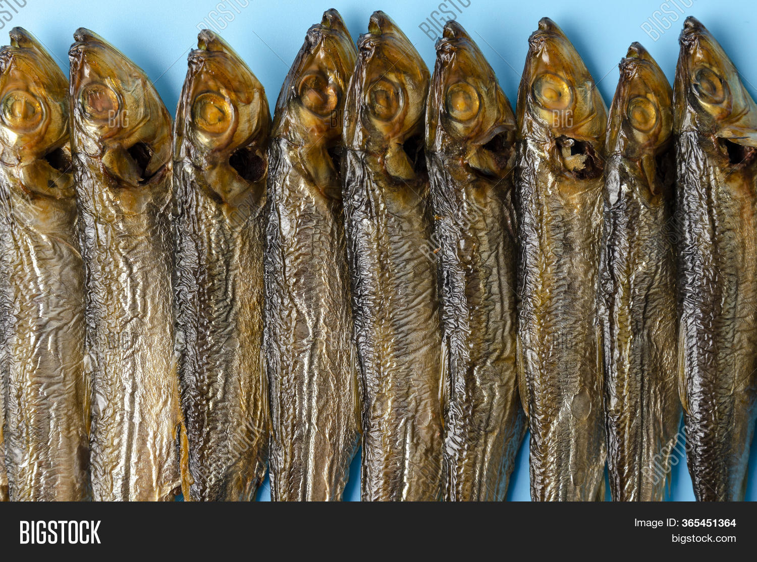 Fish Pattern. Herring Image & Photo (Free Trial) | Bigstock