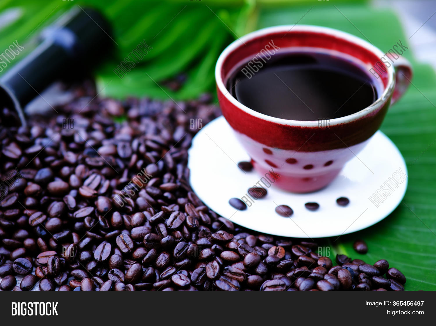 Close Coffee Cup Image & Photo (Free Trial) | Bigstock