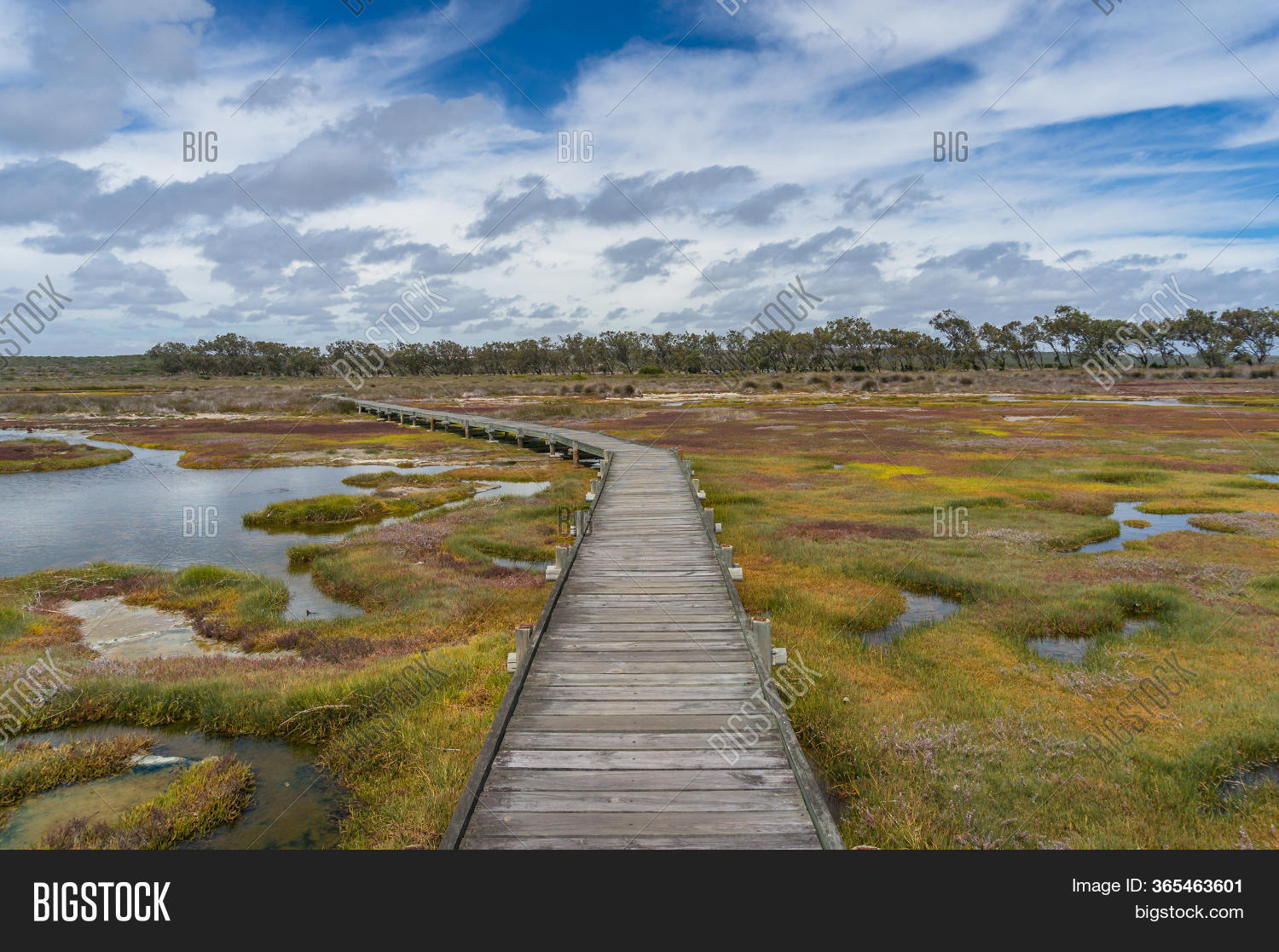 Wetlands Landscape Image & Photo (Free Trial) | Bigstock