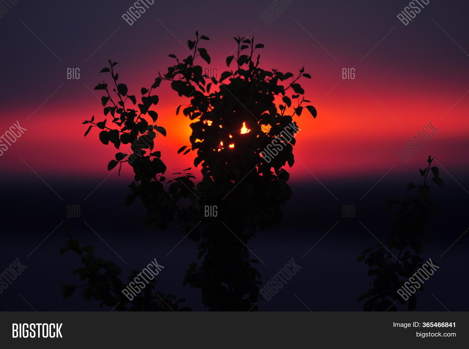 Bright Nature Image & Photo (Free Trial) | Bigstock