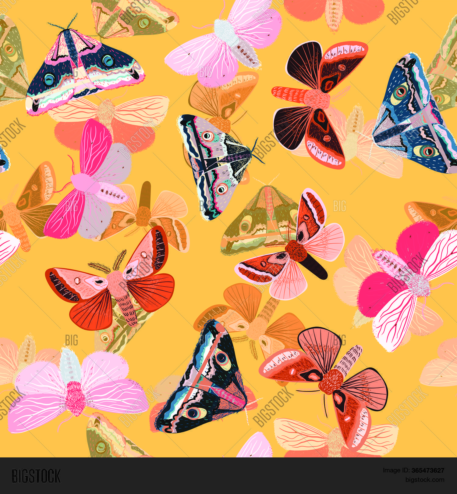White Moths On Light Vector & Photo (Free Trial) | Bigstock