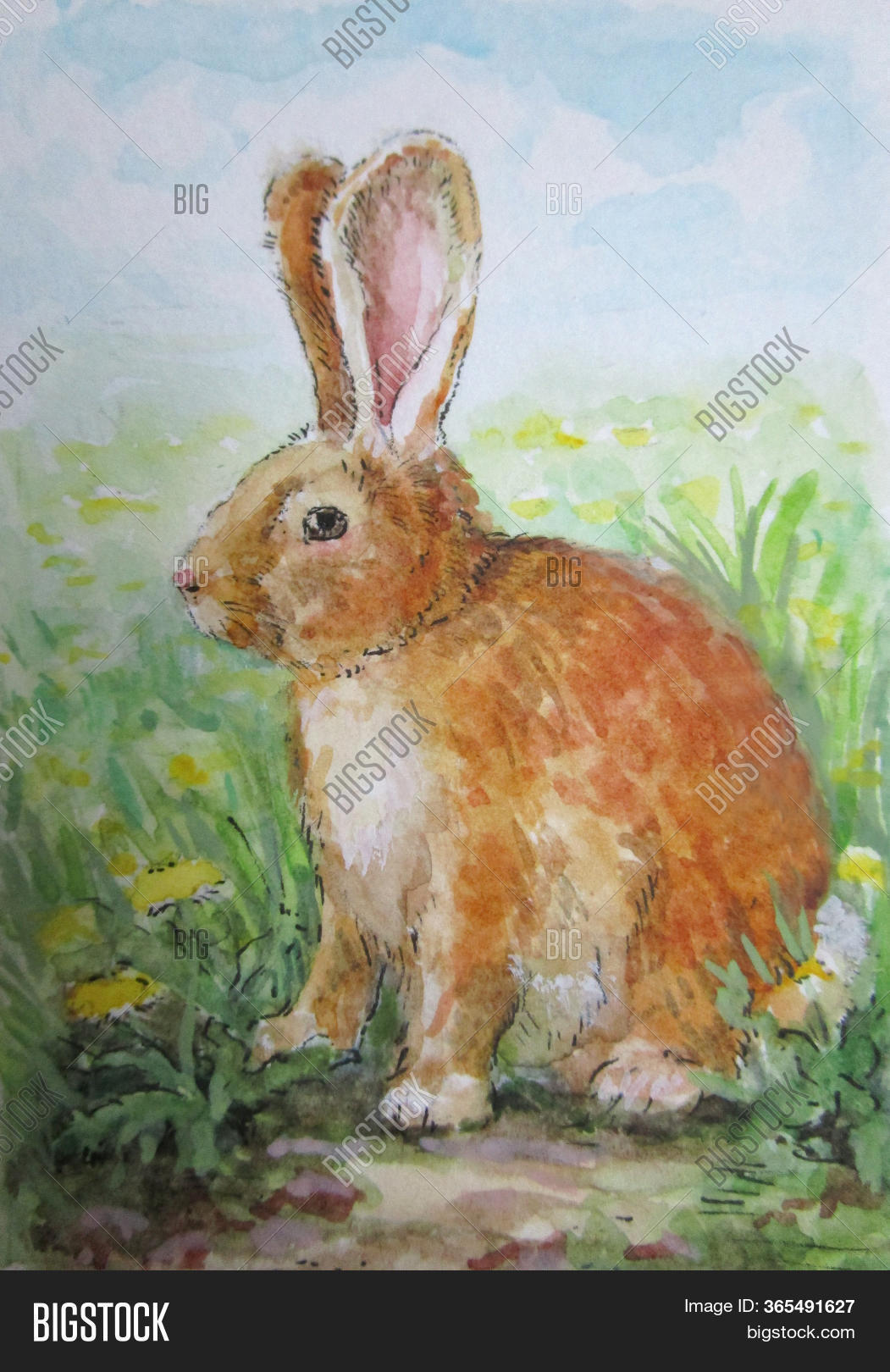 Little Rabbit Grass, Image & Photo (Free Trial) | Bigstock