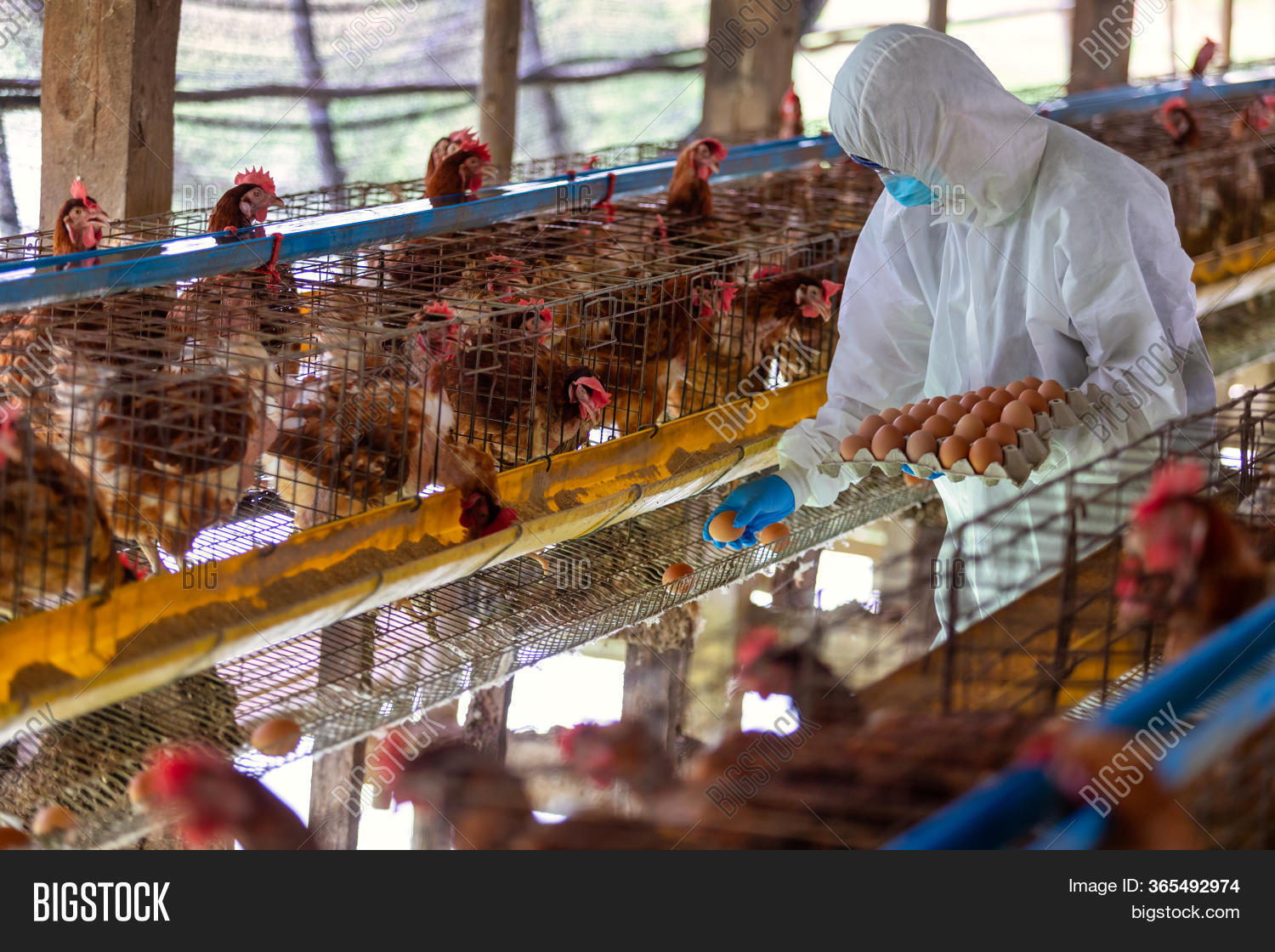 Asian Farmer Wear Ppe Image & Photo (Free Trial) | Bigstock