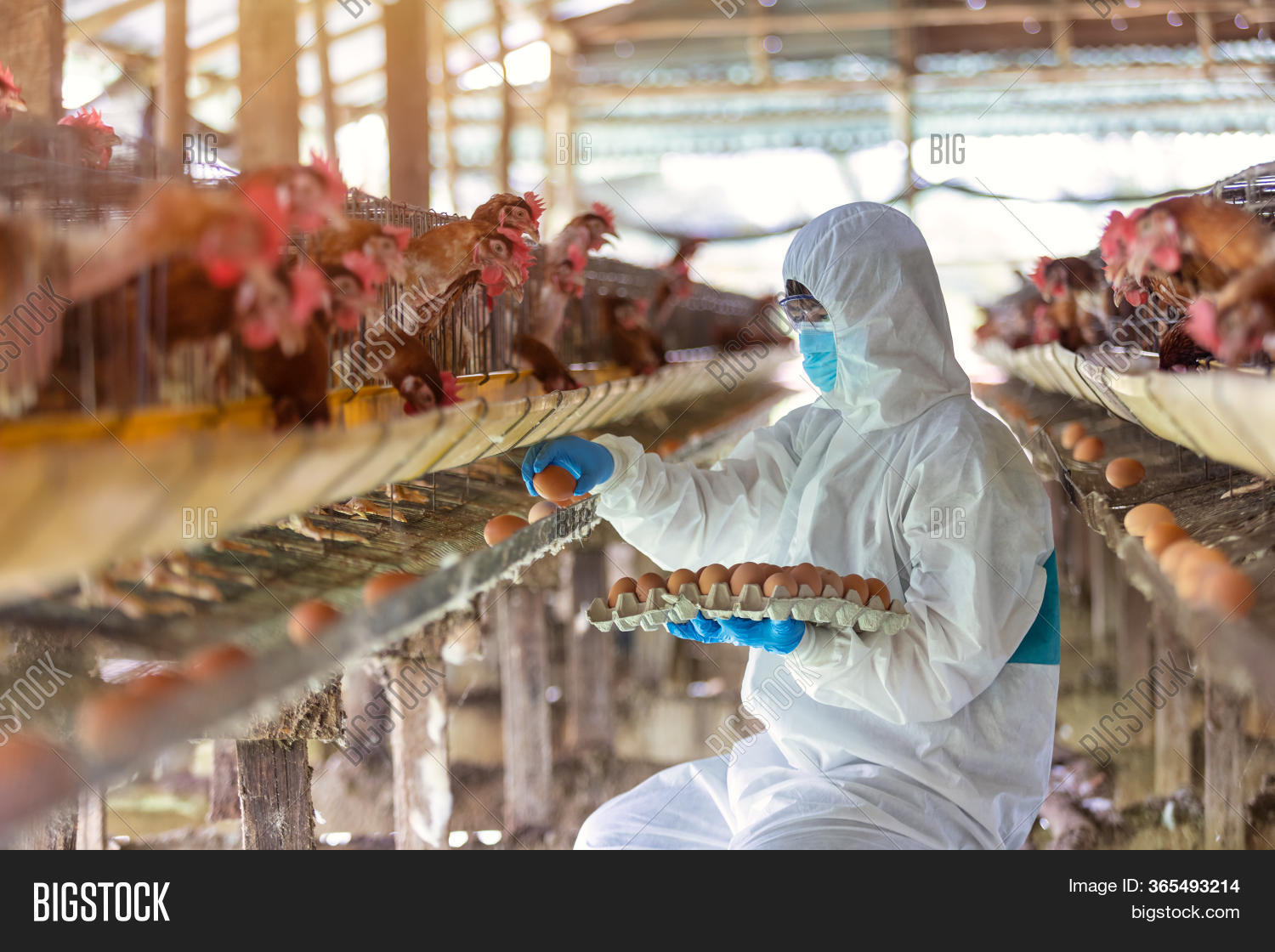 Asian Farmer Wear Ppe Image & Photo (Free Trial) | Bigstock
