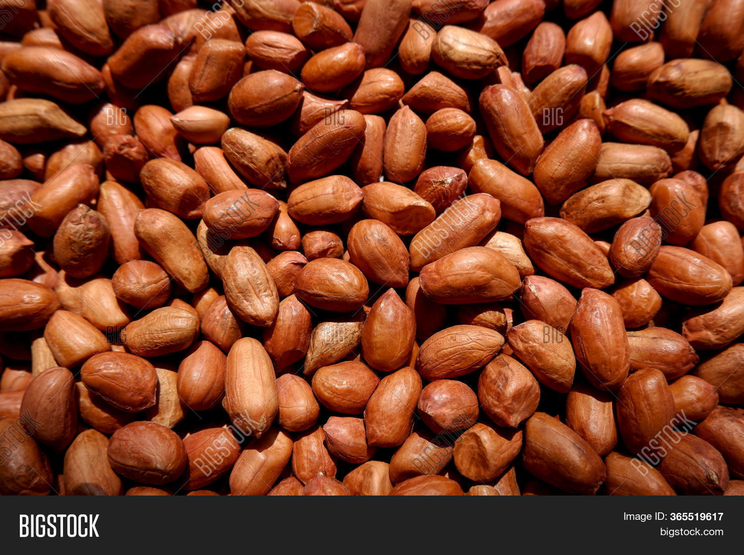 Close View Brown Color Image & Photo (Free Trial) | Bigstock
