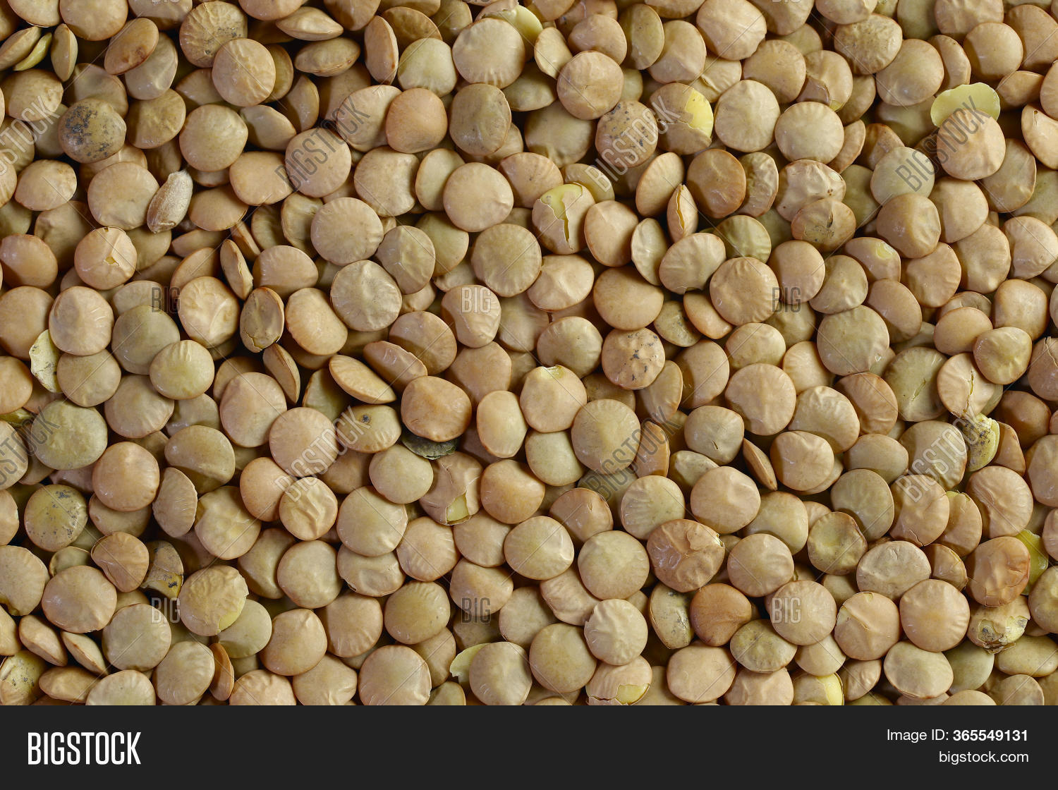 Lentils. Food Image & Photo (Free Trial) | Bigstock