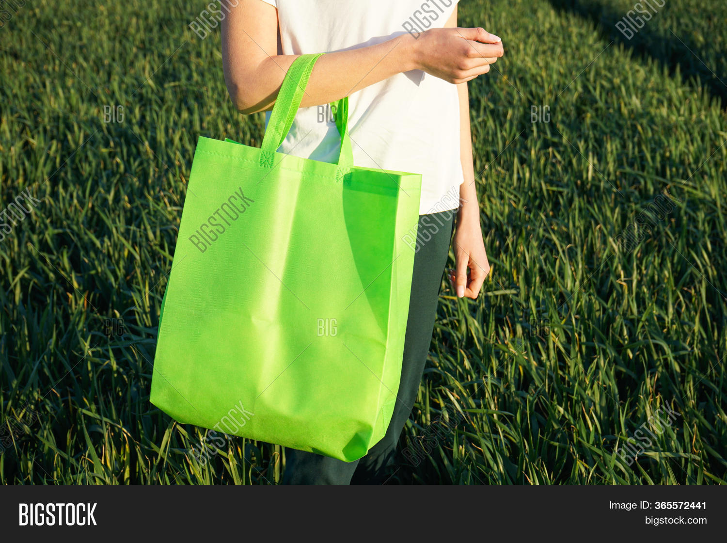 Ecological Bag Hands Image & Photo (Free Trial) | Bigstock
