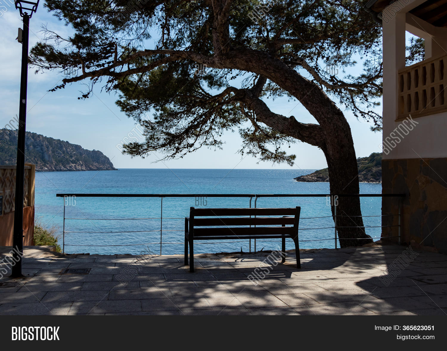 Beautiful Bench Under Image & Photo (Free Trial) | Bigstock