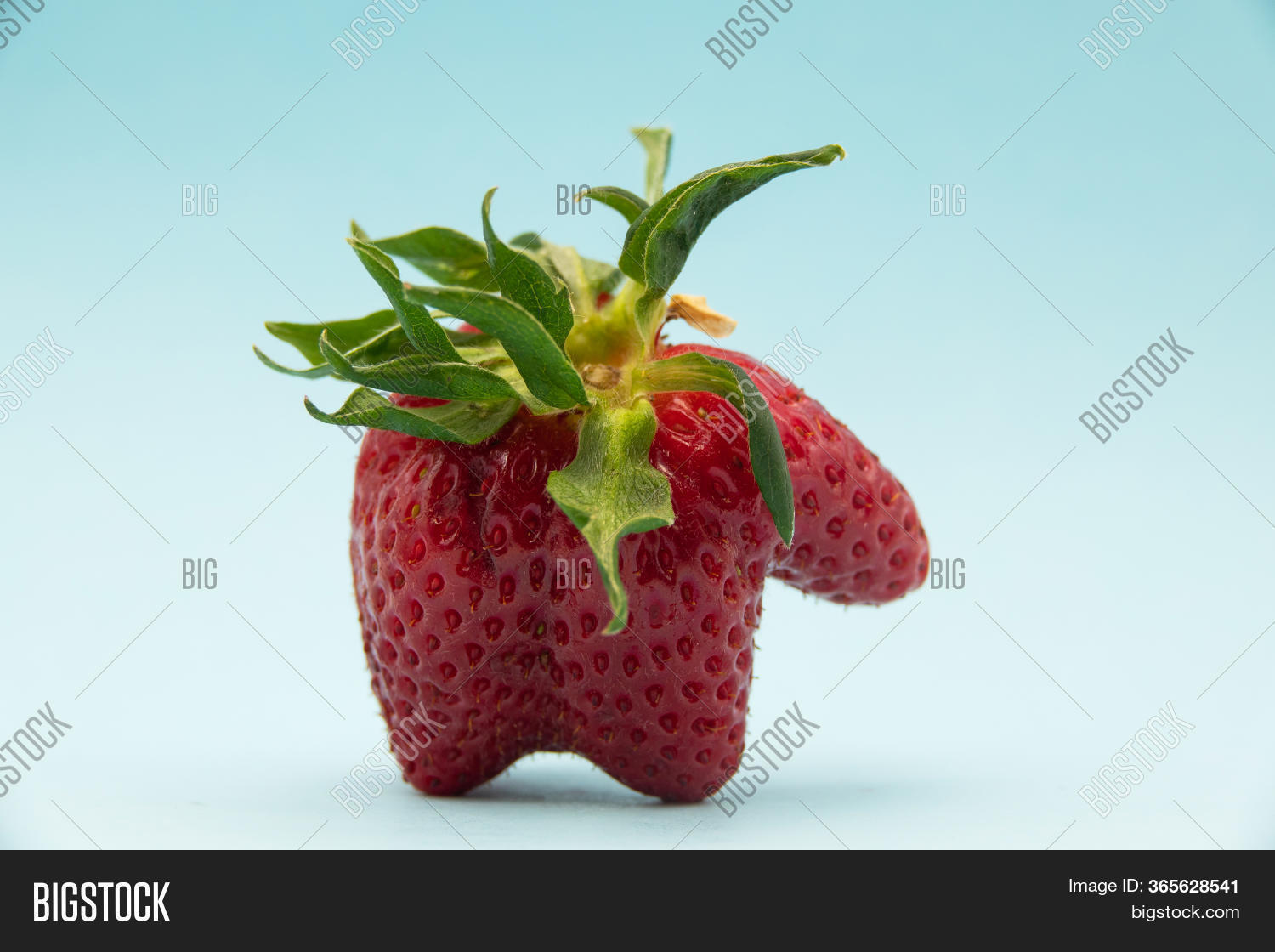 Fresh Strawberries Image & Photo (Free Trial) | Bigstock
