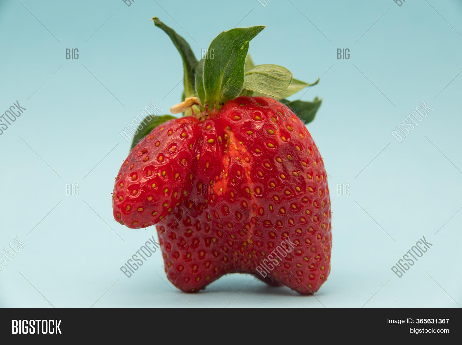 Fresh Strawberries Image & Photo (Free Trial) | Bigstock
