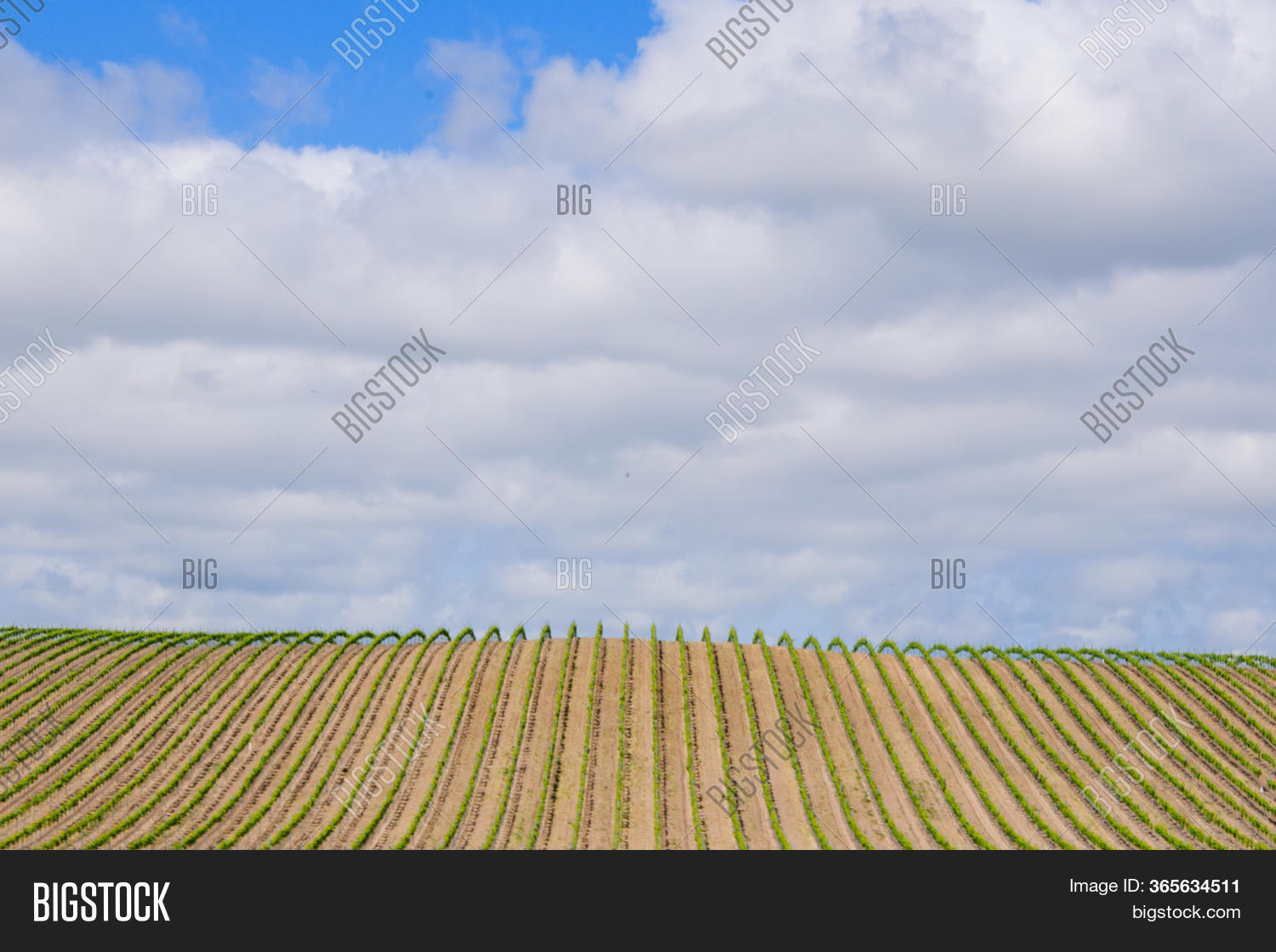 View Hillside Northern Image & Photo (Free Trial) | Bigstock