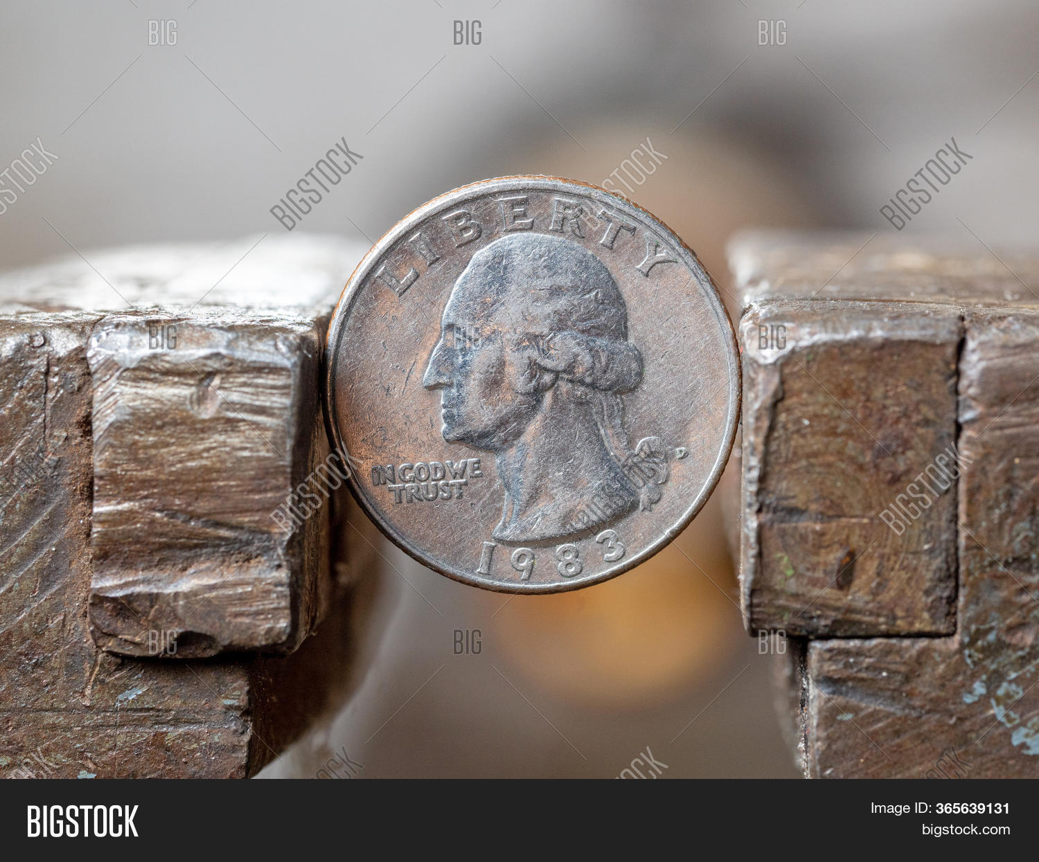Dollar Coin Clamped Image & Photo (Free Trial) | Bigstock