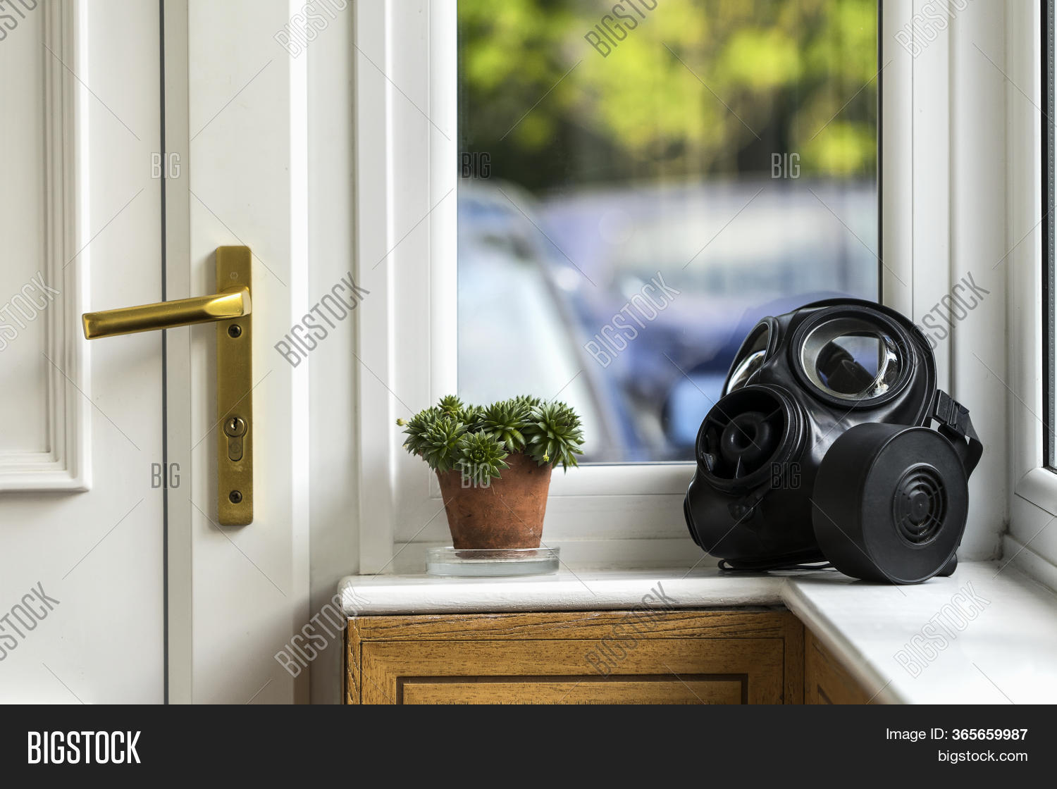 Sas Gas Mask By Entry Image & Photo (Free Trial) | Bigstock