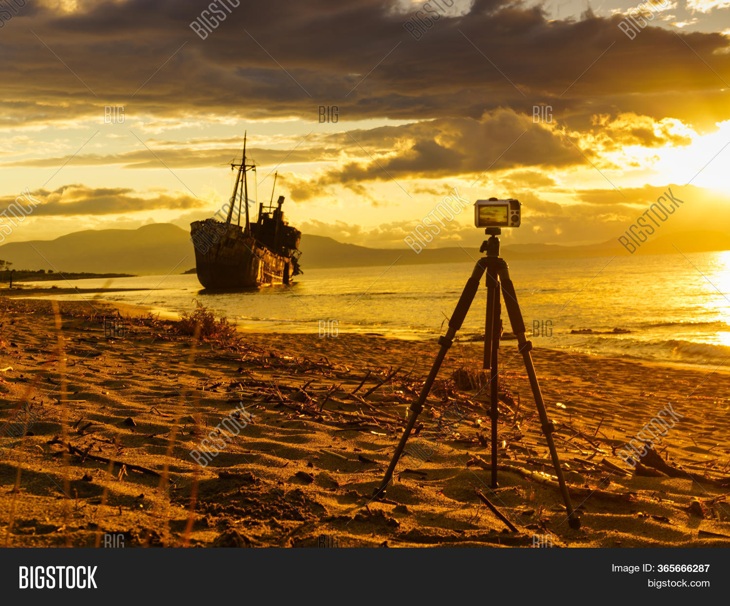 Camera On Tripod Image & Photo (Free Trial) | Bigstock
