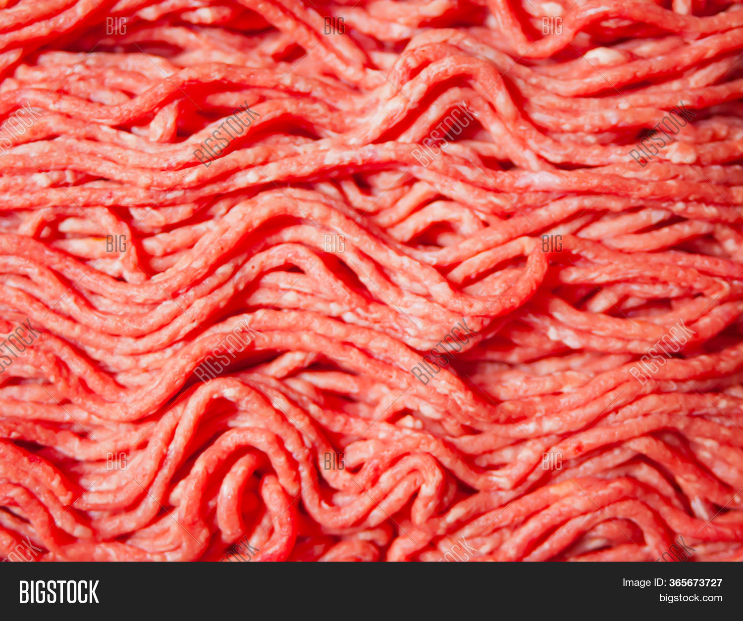 Fresh Raw Mince. Image & Photo (Free Trial) | Bigstock