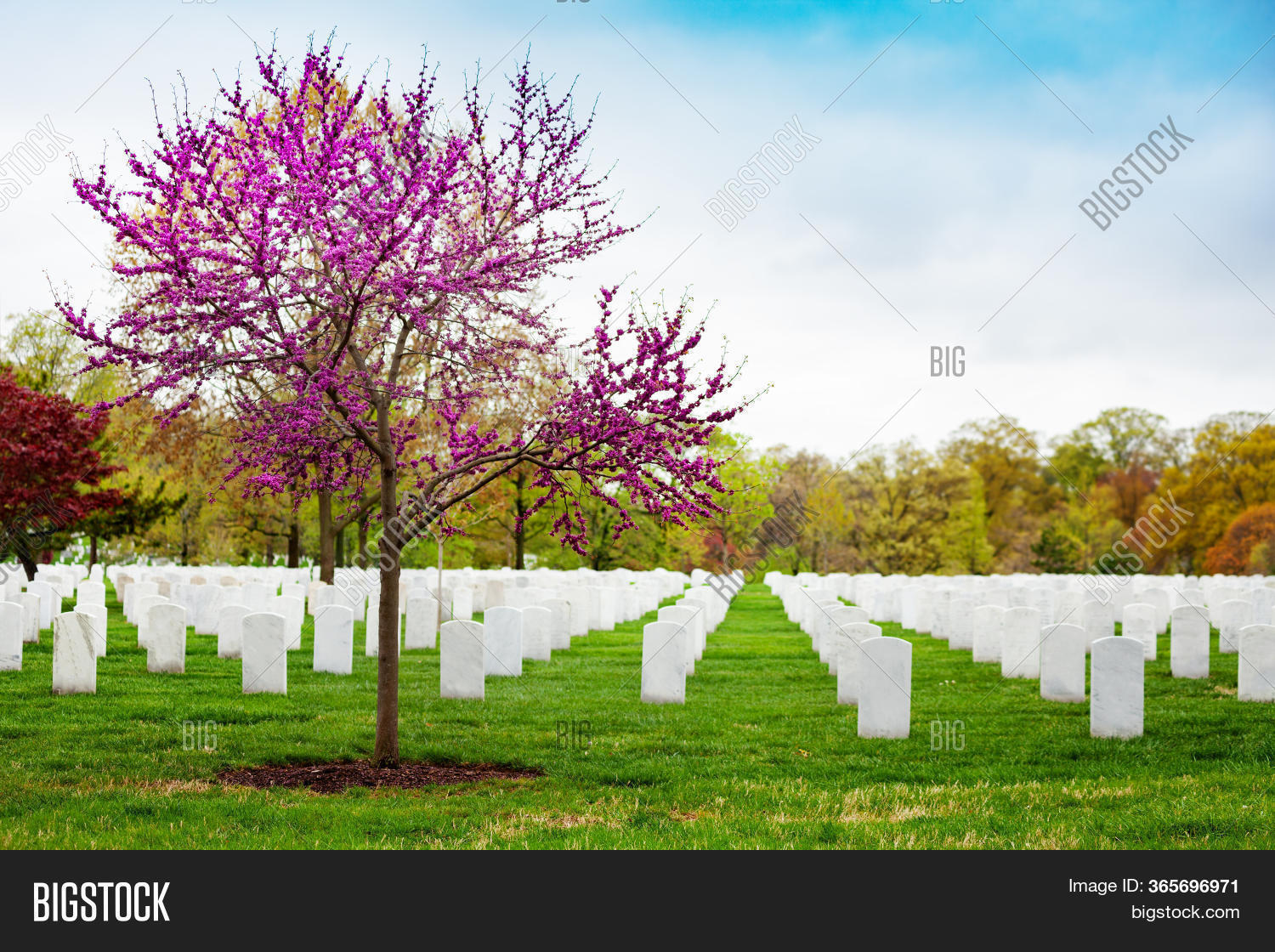Rows Tombs, Graves On Image & Photo (Free Trial) | Bigstock