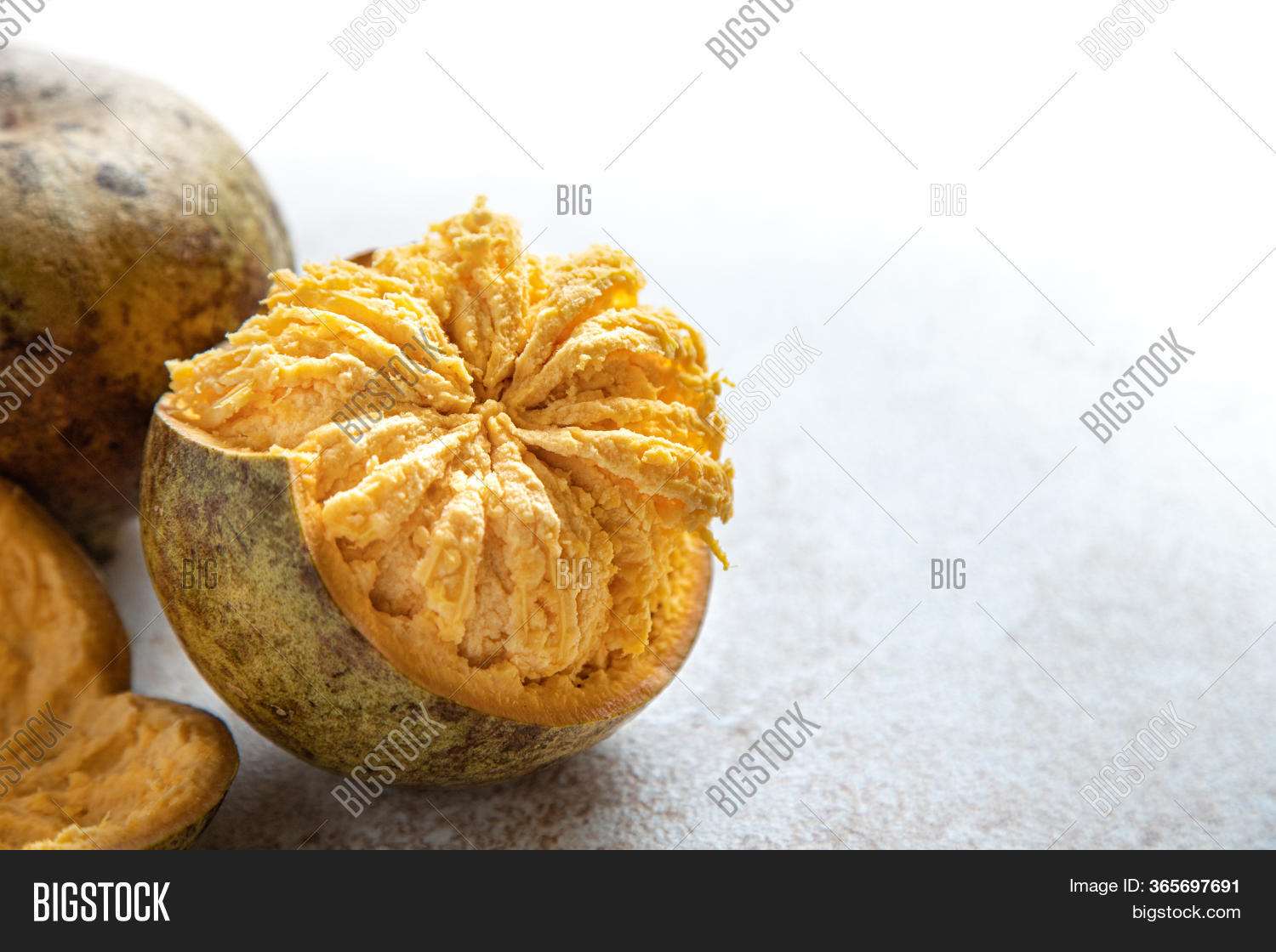 Exotic Indian Bel Image & Photo (Free Trial) | Bigstock