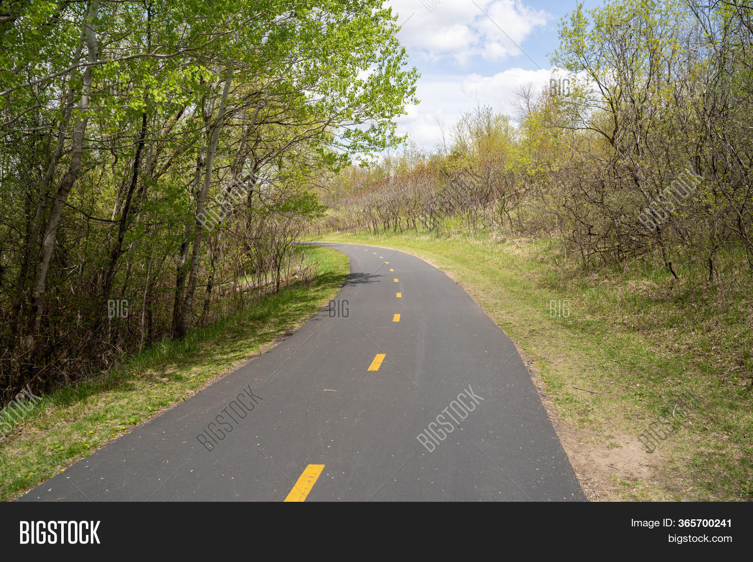 Peaceful Paved Walking Image & Photo (Free Trial) | Bigstock