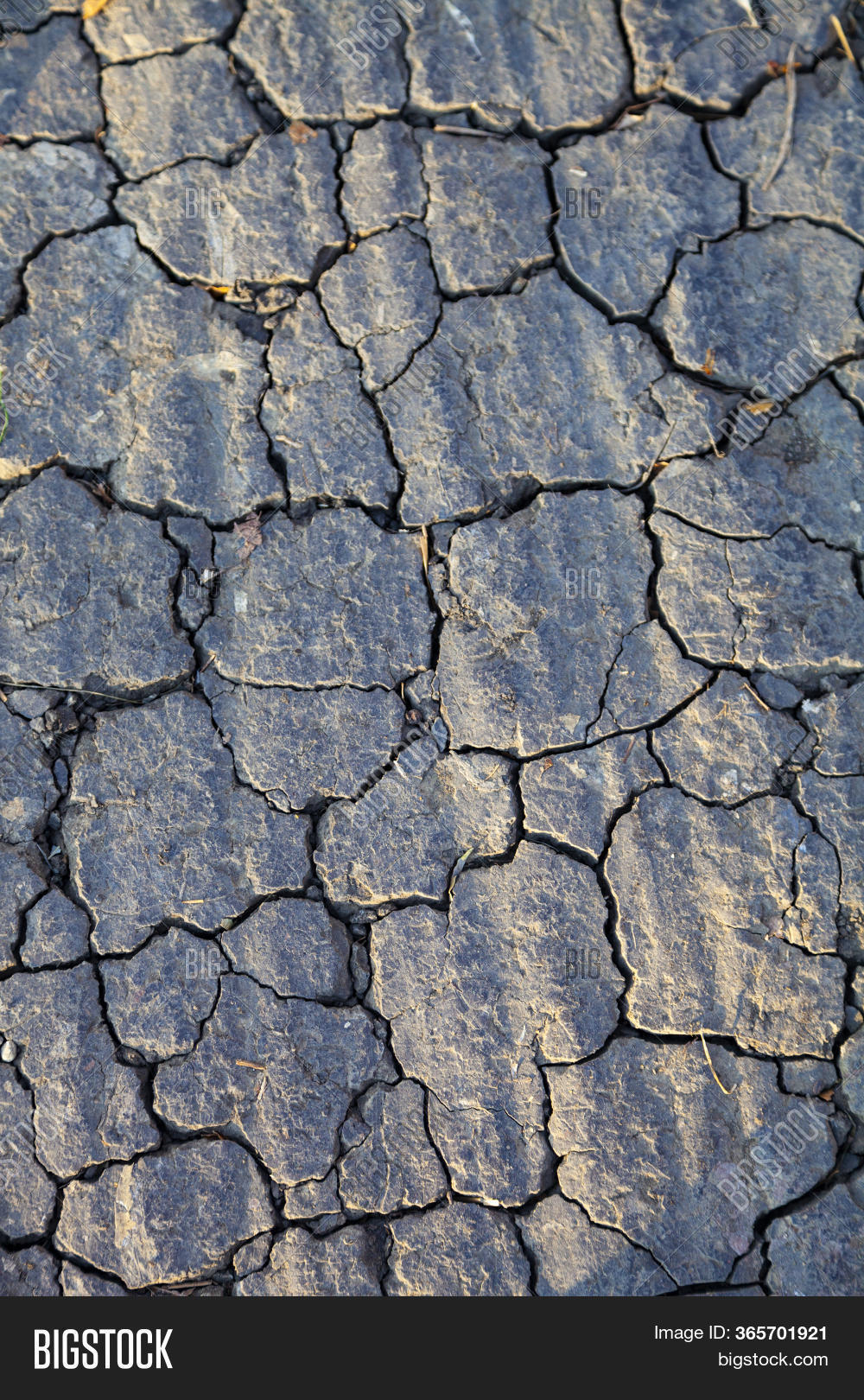 Dry Gray Ground Close Image & Photo (Free Trial) | Bigstock