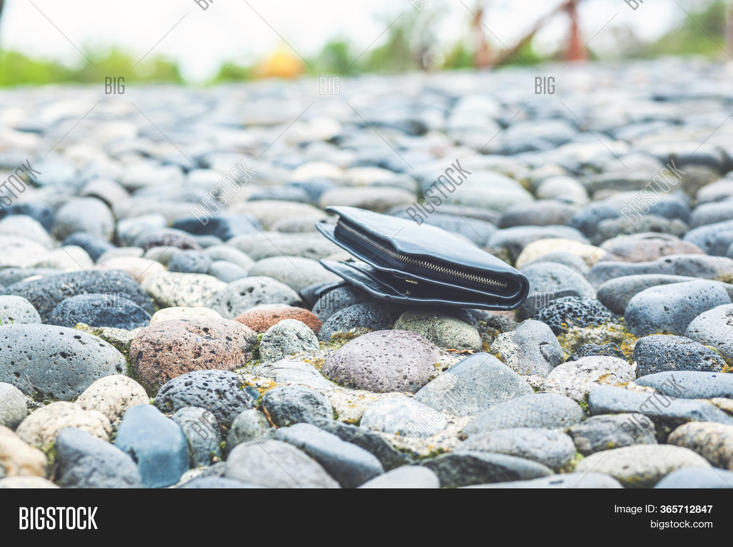 Close Wallet Drop On Image & Photo (Free Trial) | Bigstock