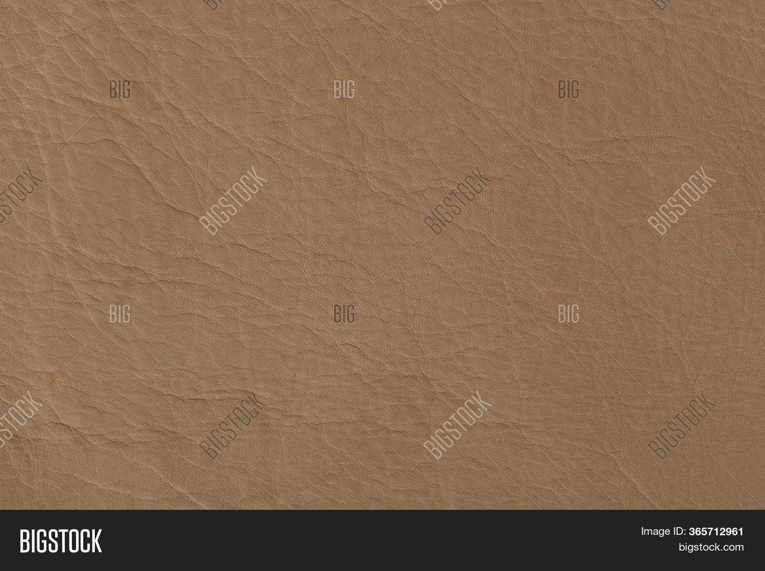 Blege Leather Texture Image & Photo (Free Trial) | Bigstock