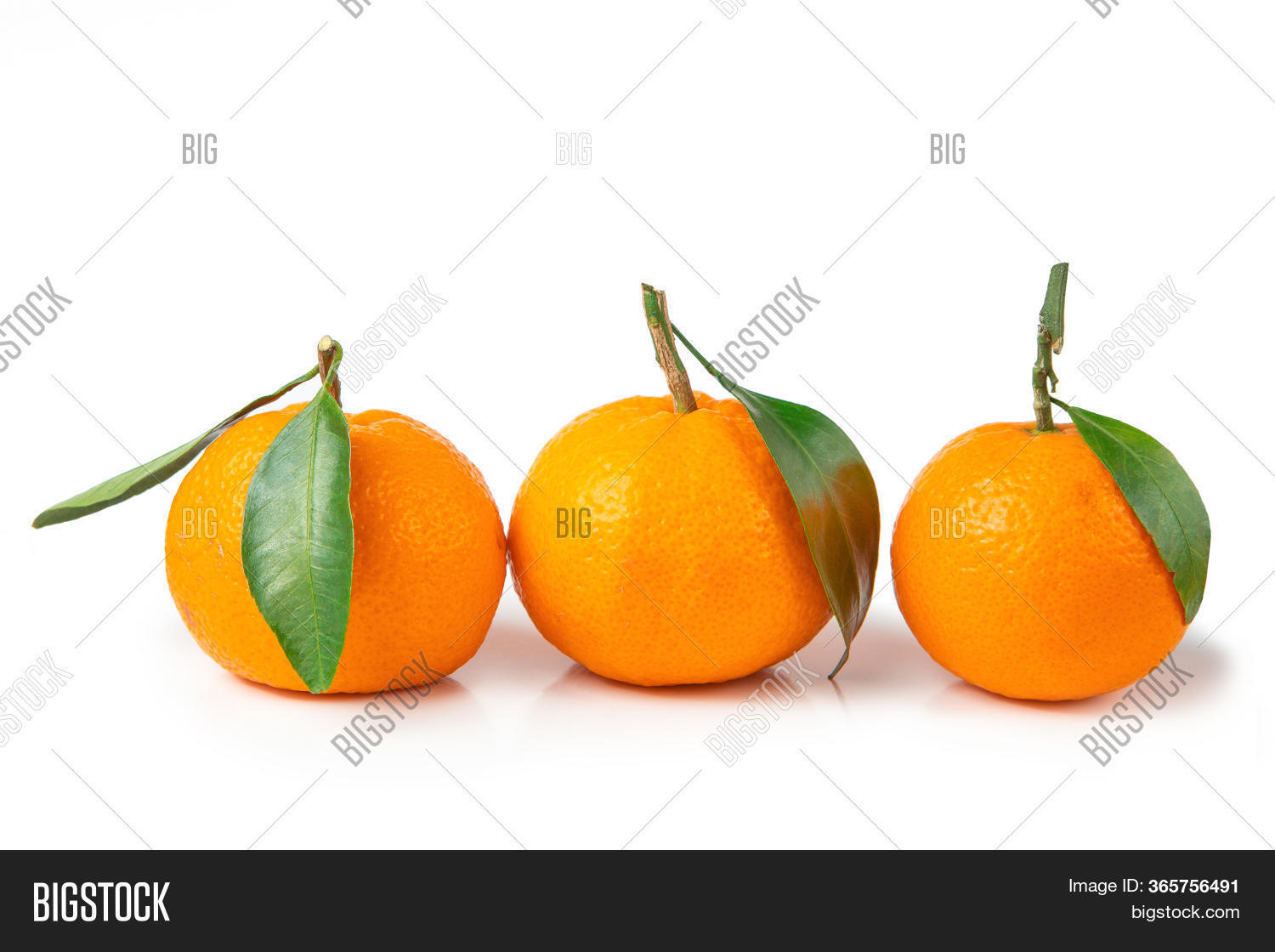 Three Tangerines Leaf Image & Photo (Free Trial) | Bigstock