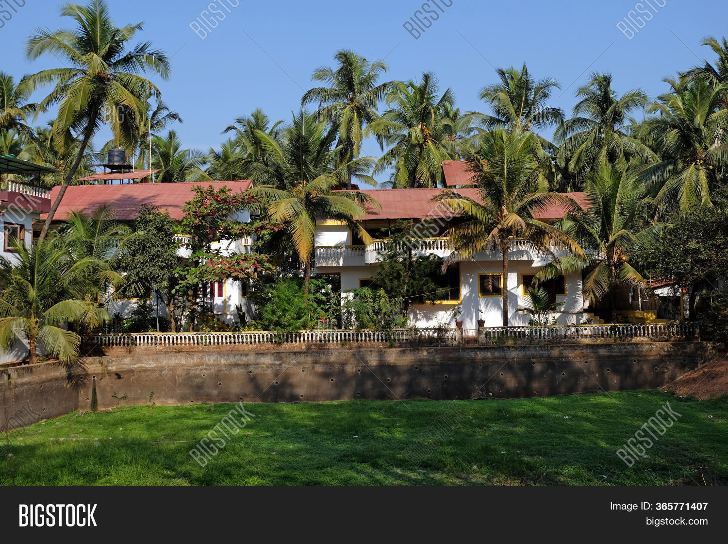 CANDOLIM, INDIA - Image & Photo (Free Trial) | Bigstock