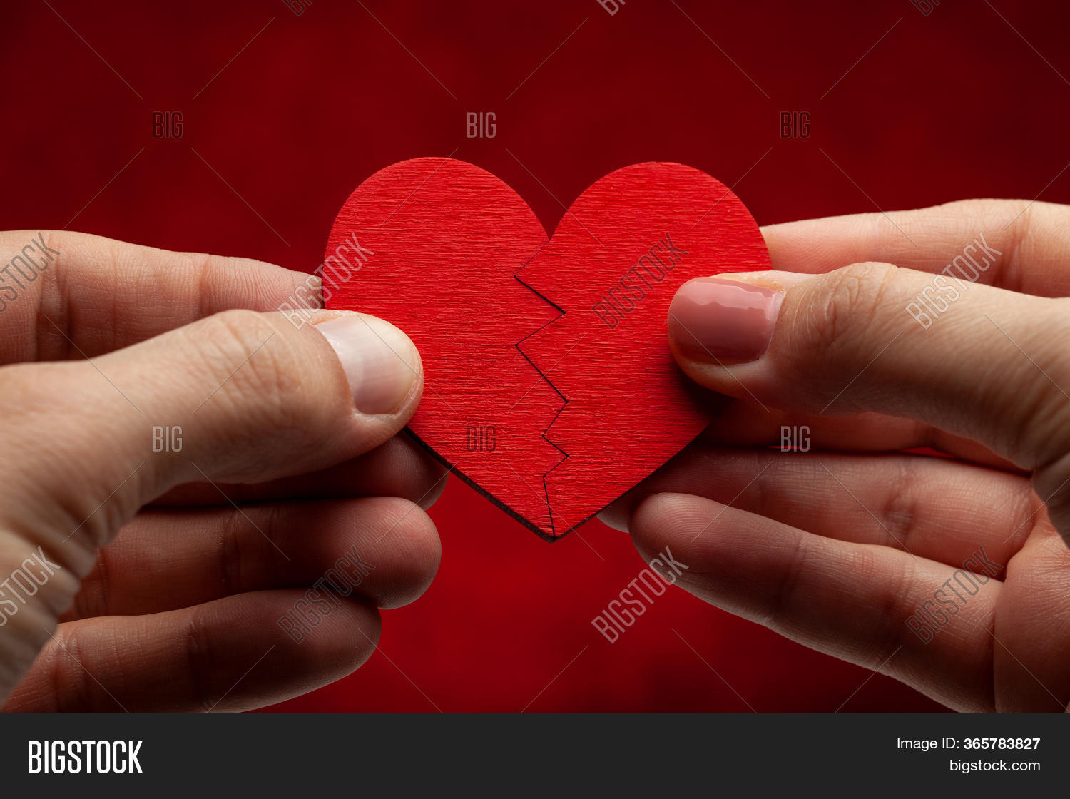 Two Halves One Heart. Image & Photo (Free Trial) | Bigstock