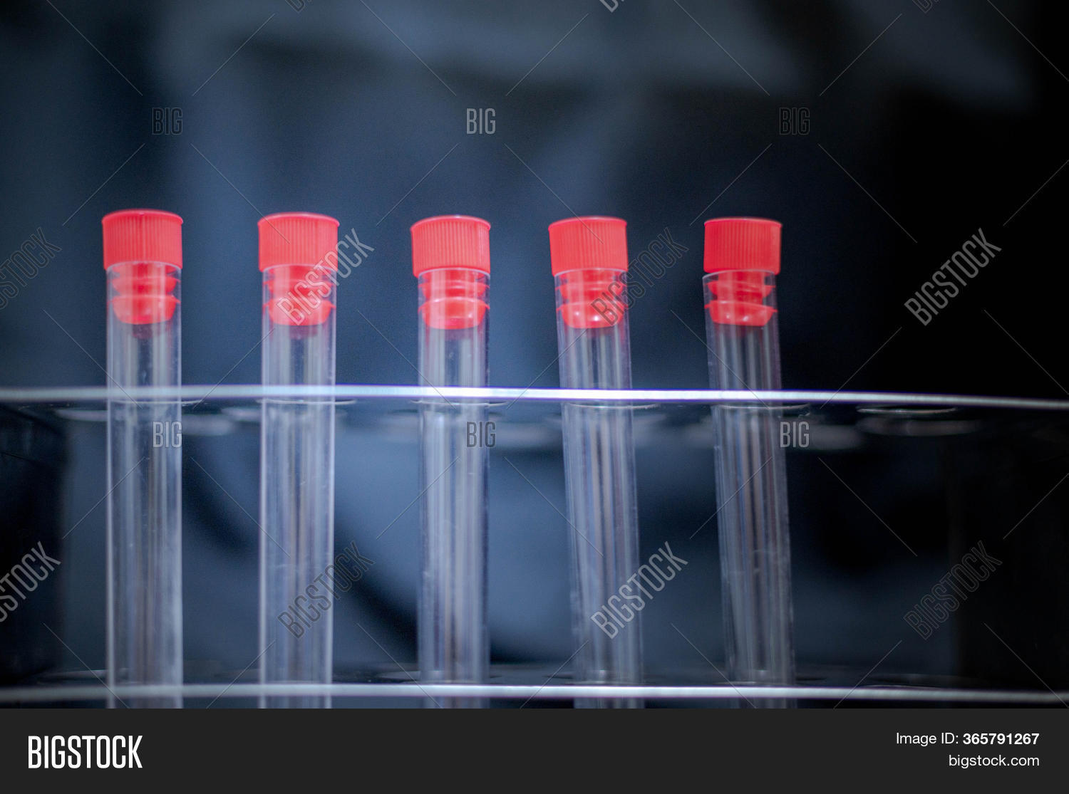Rows Laboratory Test Image & Photo (Free Trial) | Bigstock