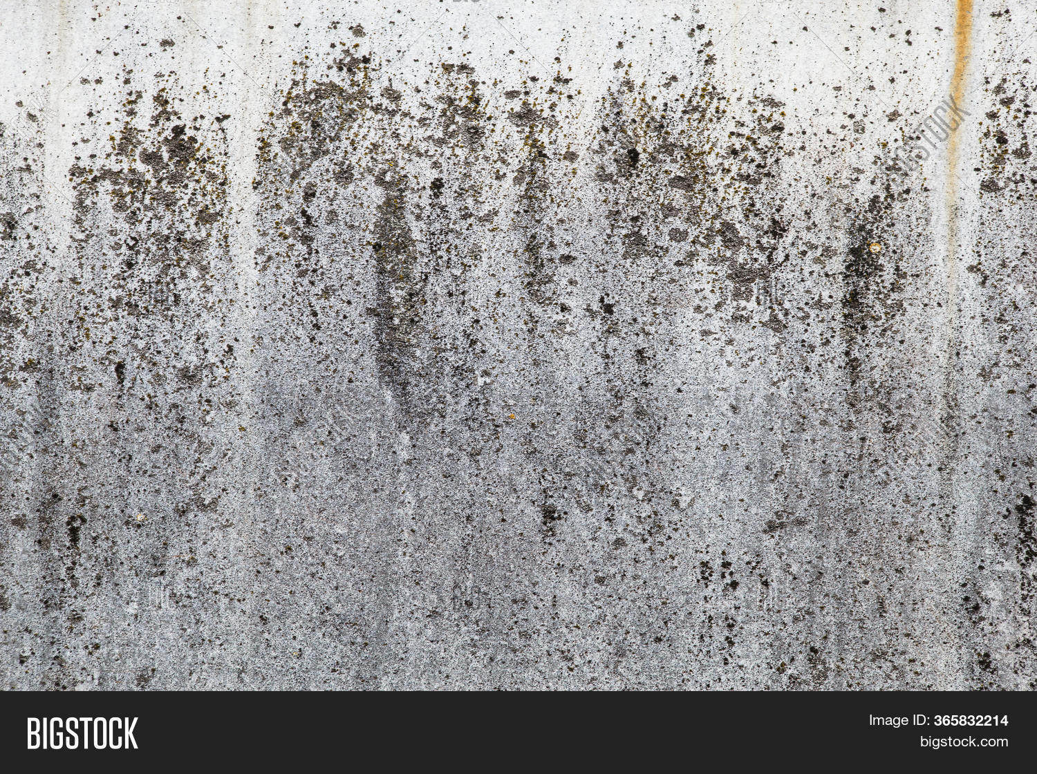 Grunge Outdoor Image & Photo (Free Trial) | Bigstock