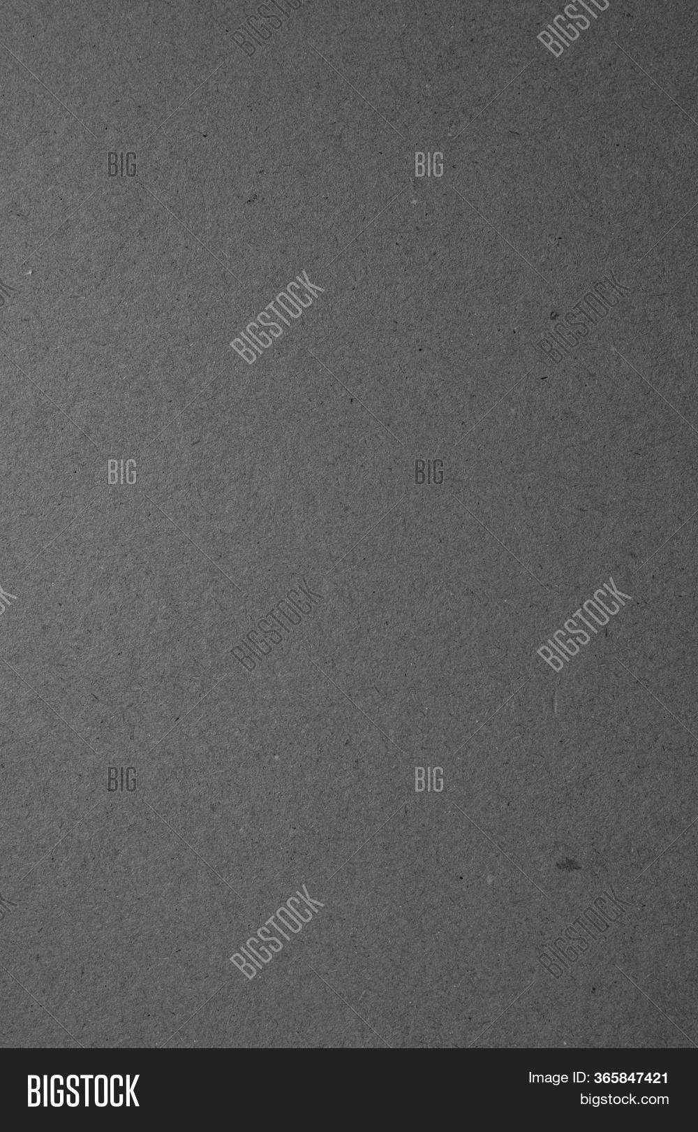 Grey Color Cardboard. Image & Photo (Free Trial) | Bigstock