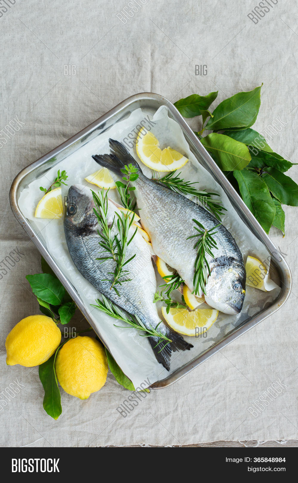 Fresh Raw Dorado Fish Image & Photo (Free Trial) | Bigstock