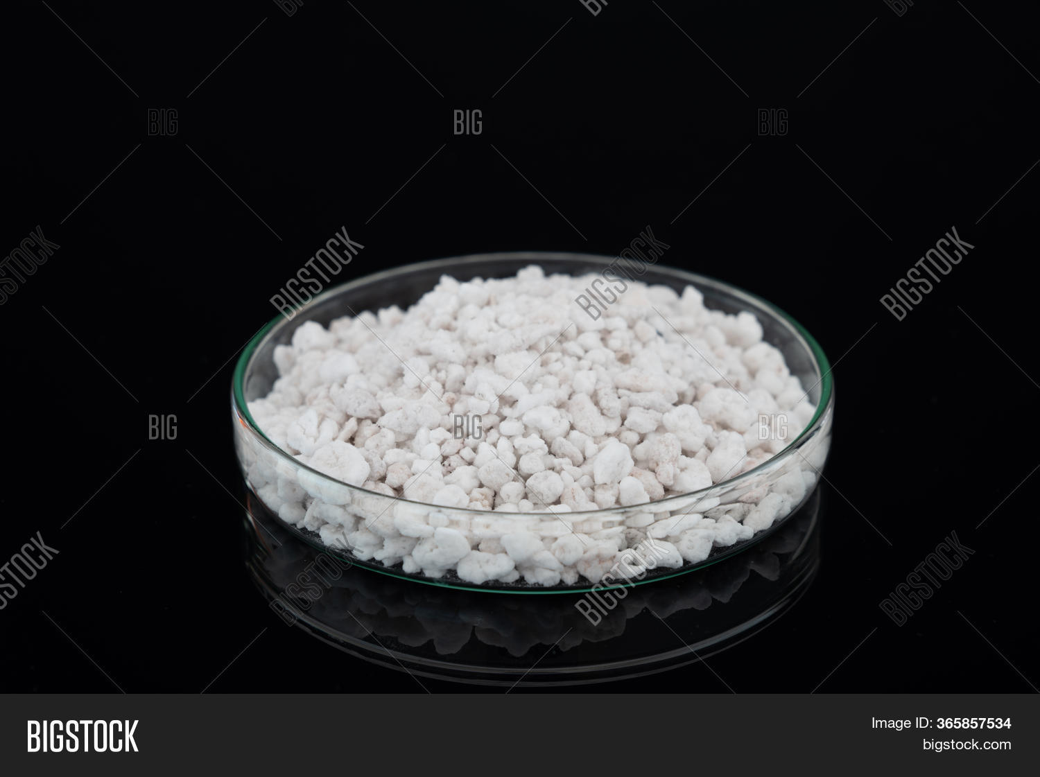 Perlite Mineral Stone Image & Photo (Free Trial) | Bigstock