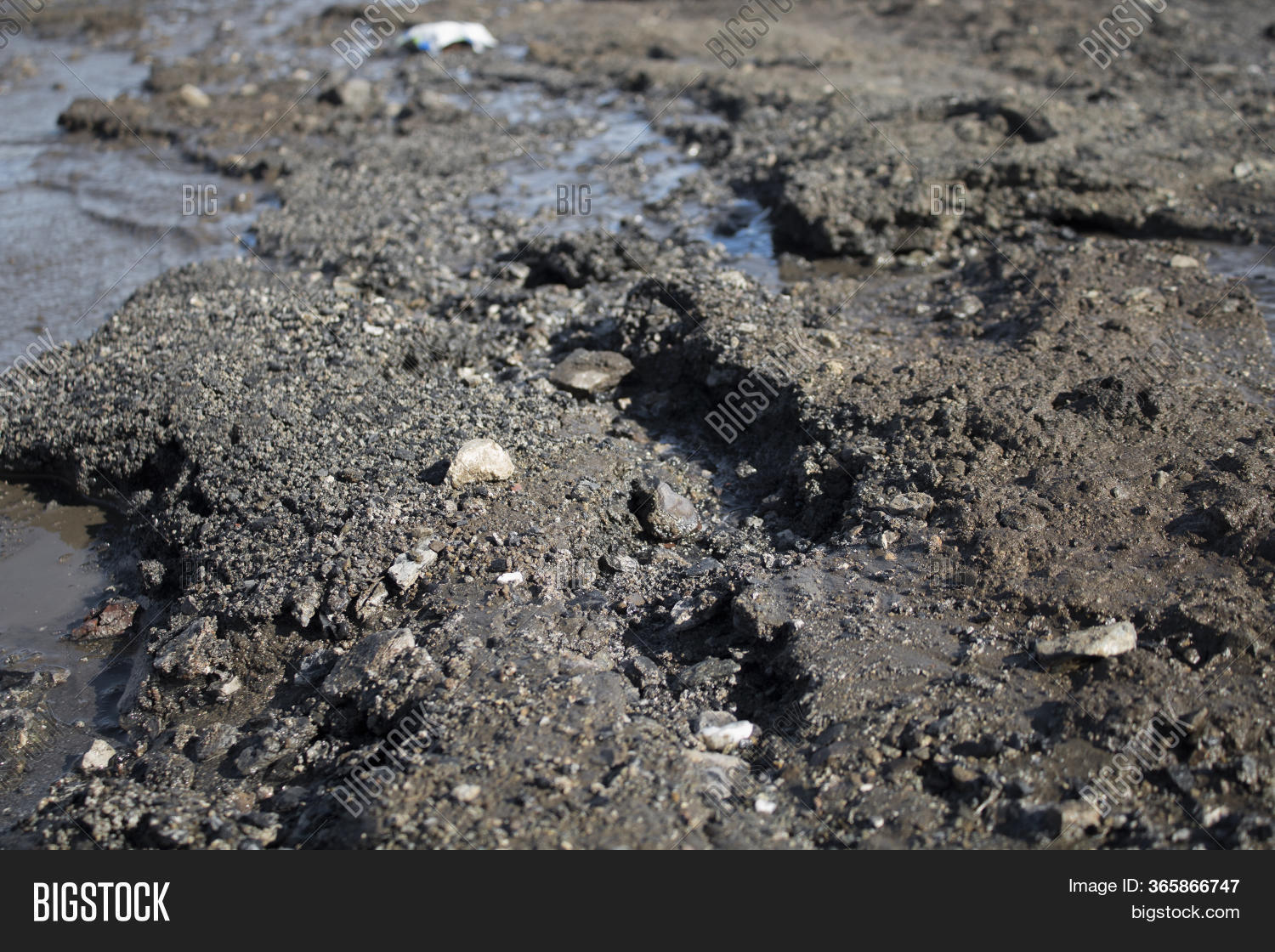 Dirt Wet Soil Image & Photo (Free Trial) | Bigstock