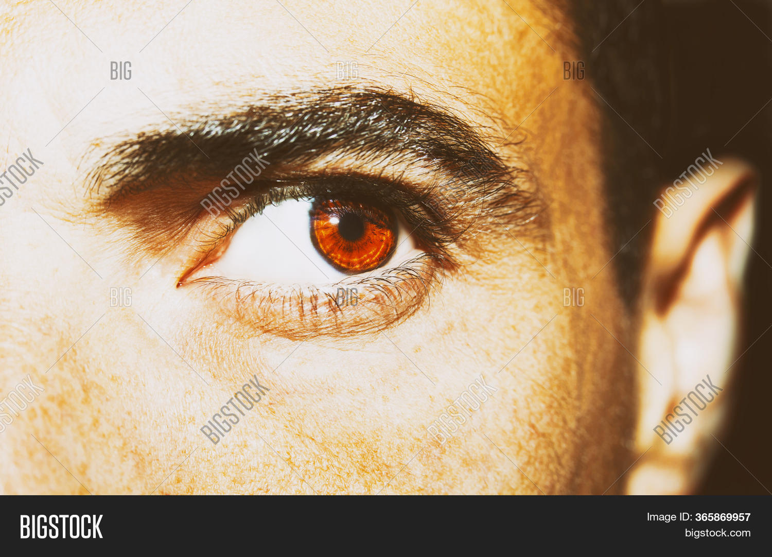 Beautiful Insightful Image & Photo (Free Trial) | Bigstock