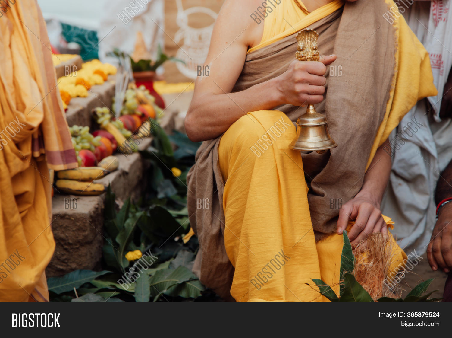 Young Brahman Image & Photo (Free Trial) | Bigstock