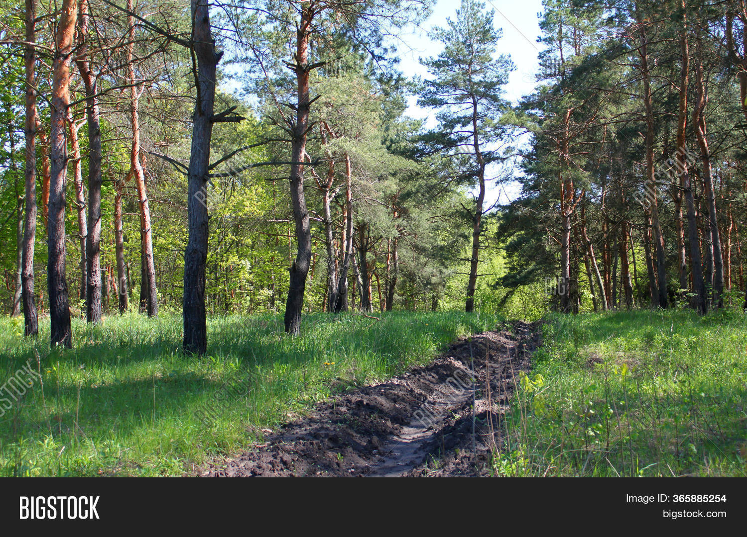 Summer Fire Ditch Image & Photo (Free Trial) | Bigstock