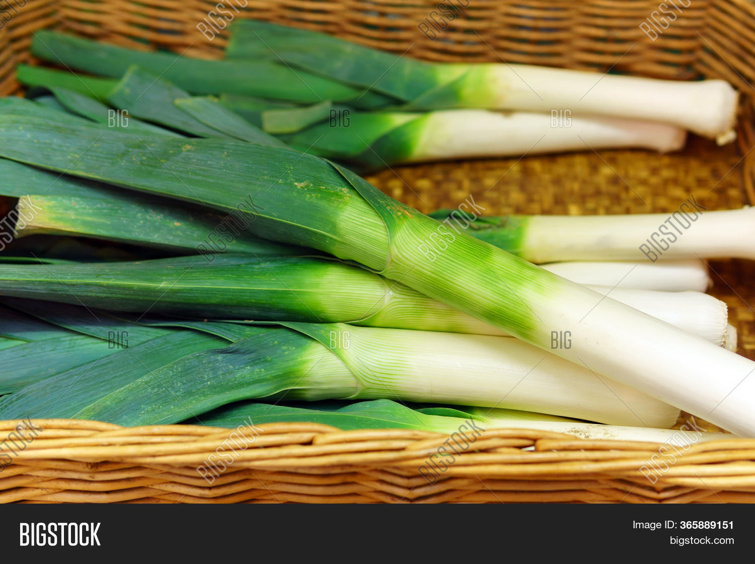 Leek Stalks, Green Image & Photo (Free Trial) | Bigstock