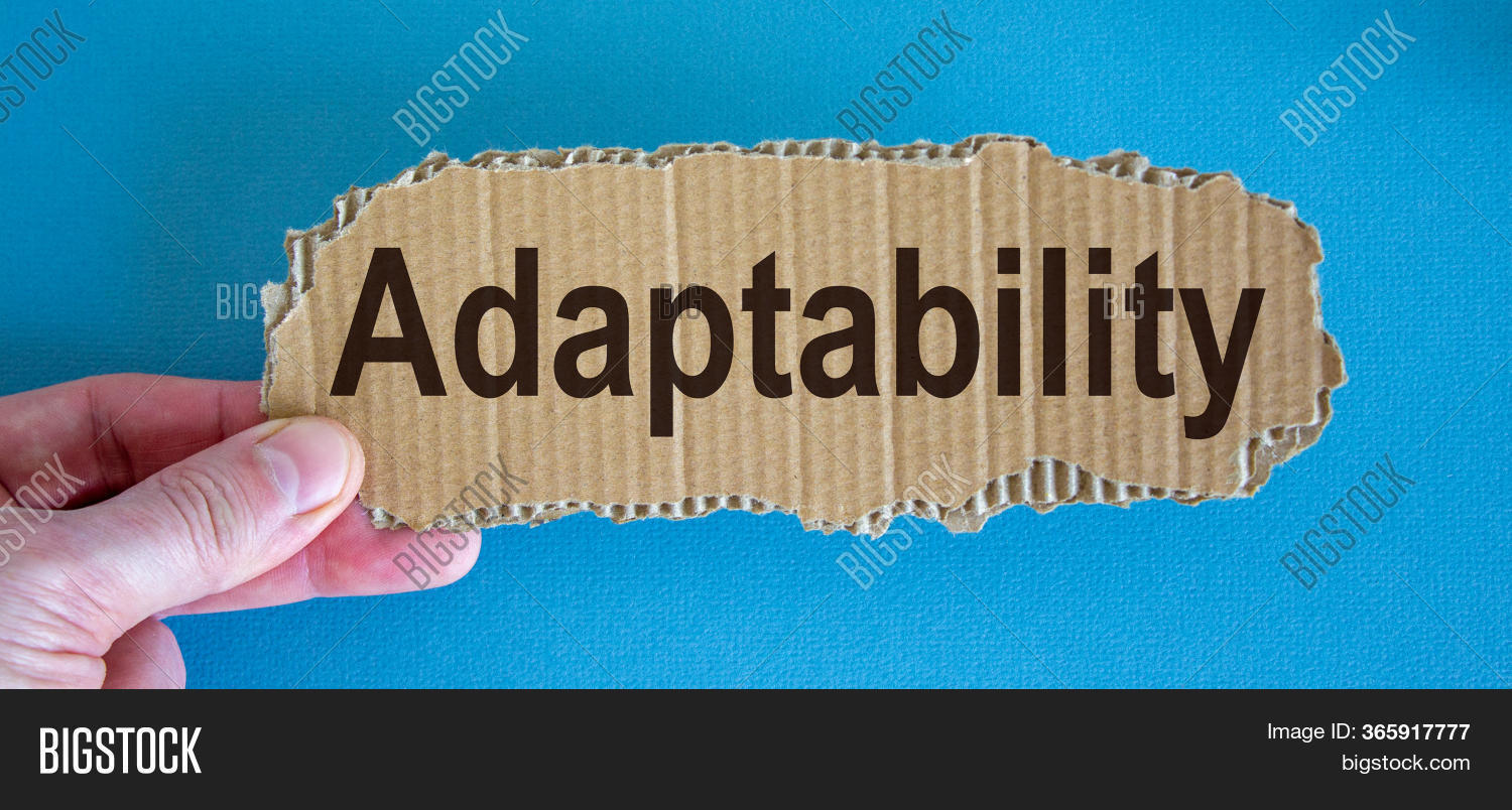 Word 'adaptability' On Image & Photo (Free Trial) | Bigstock