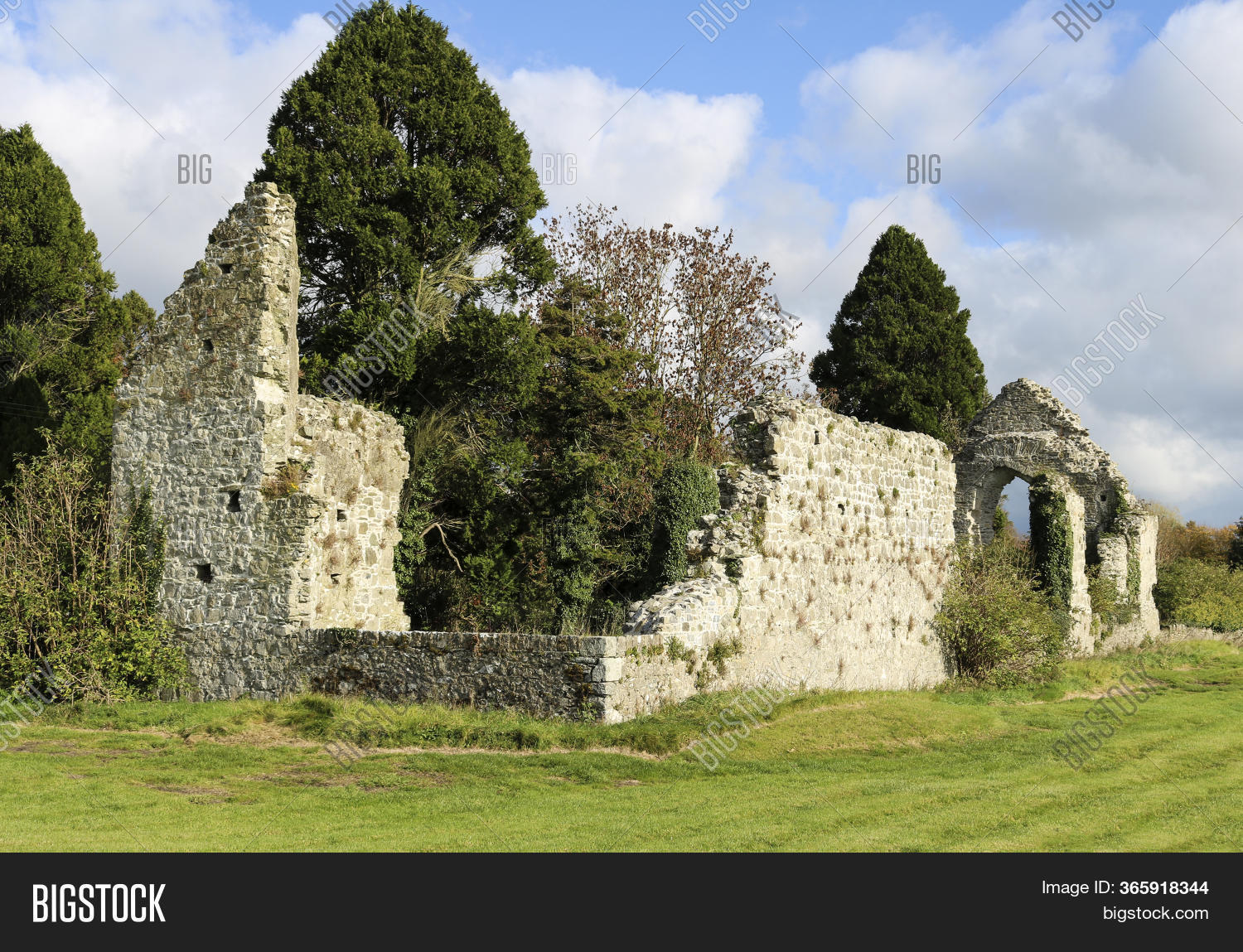 Ruins Grey Abbey, Image & Photo (Free Trial) | Bigstock