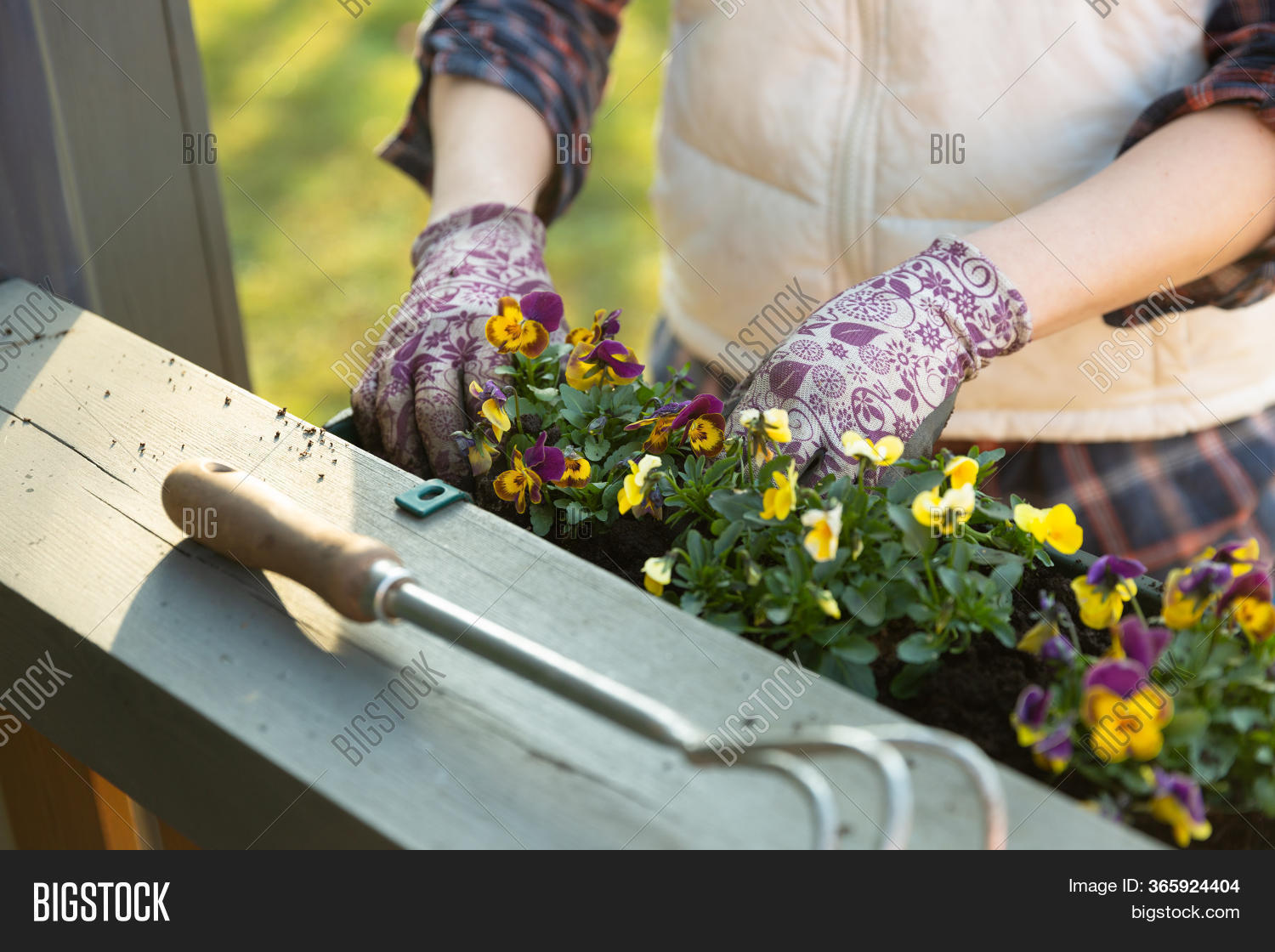 Gardeners Hands Image & Photo (Free Trial) | Bigstock