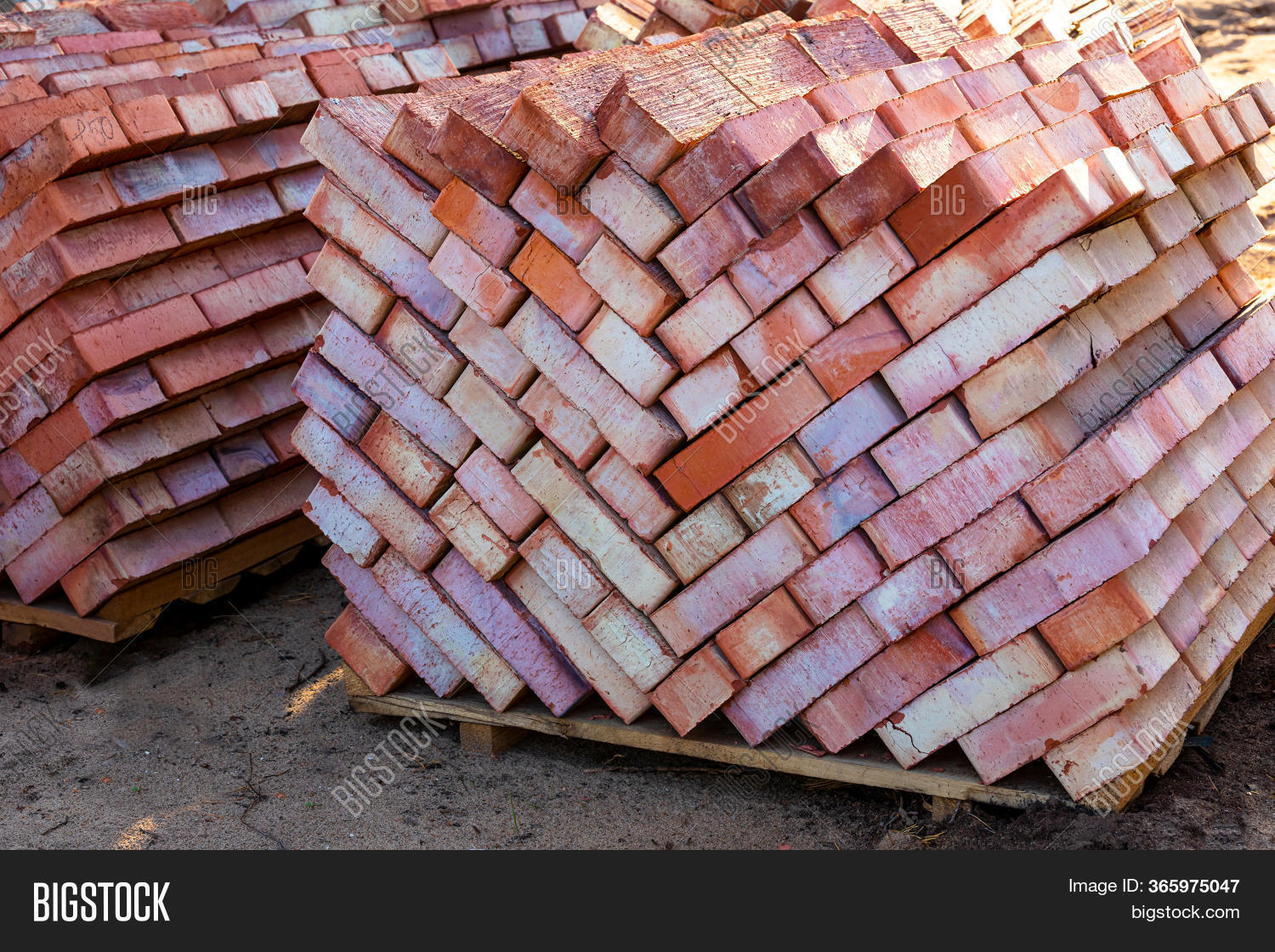 Racks Full-bodied Image & Photo (Free Trial) | Bigstock