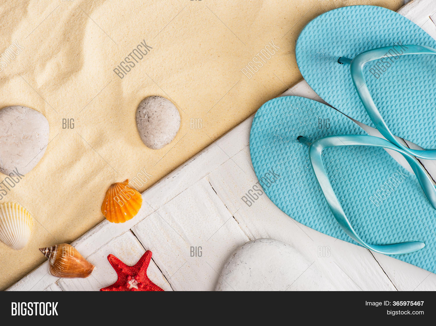 Top View Seashells Image & Photo (Free Trial) | Bigstock