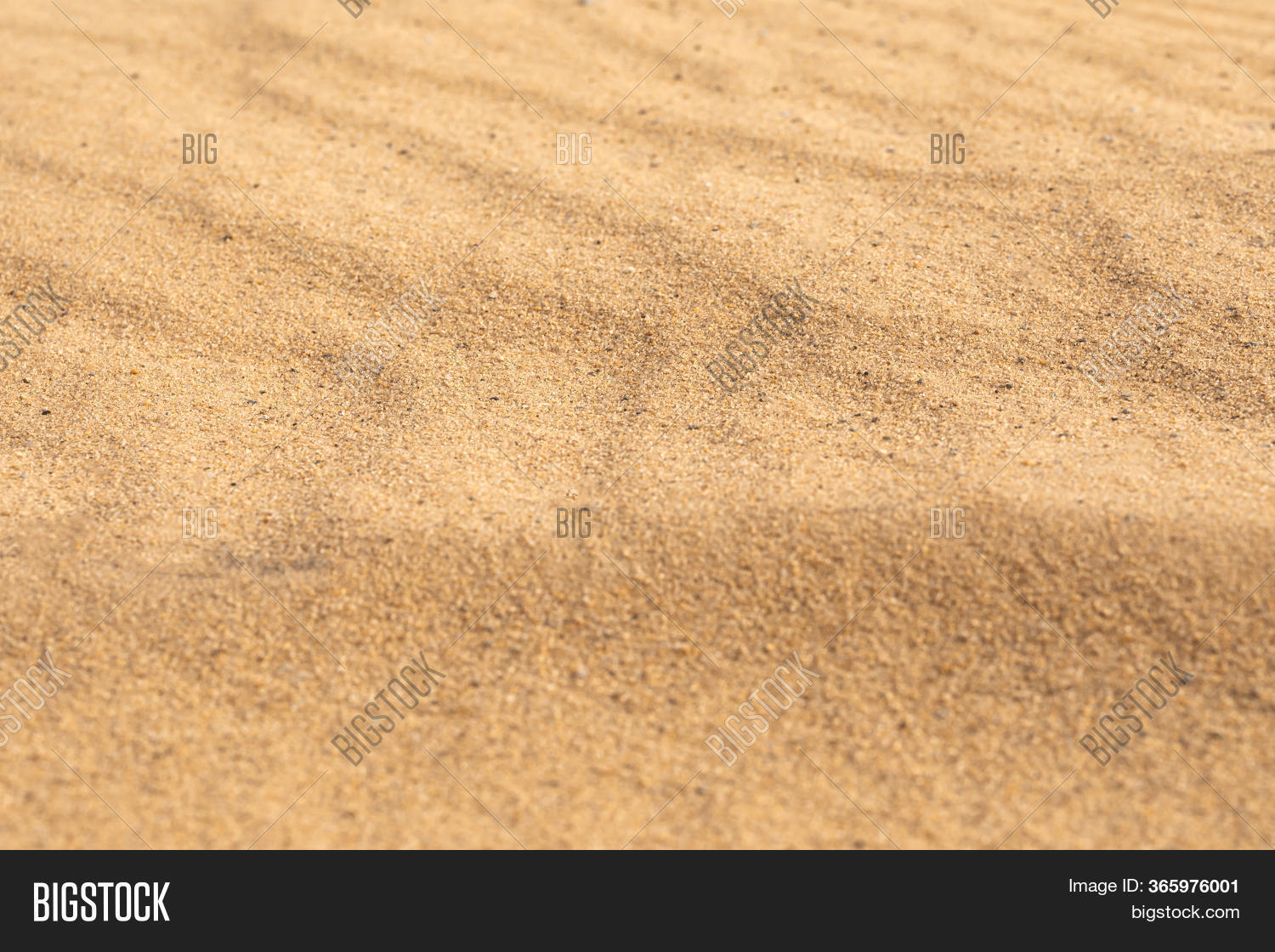 Fine Beach Sand Summer Image & Photo (Free Trial) | Bigstock