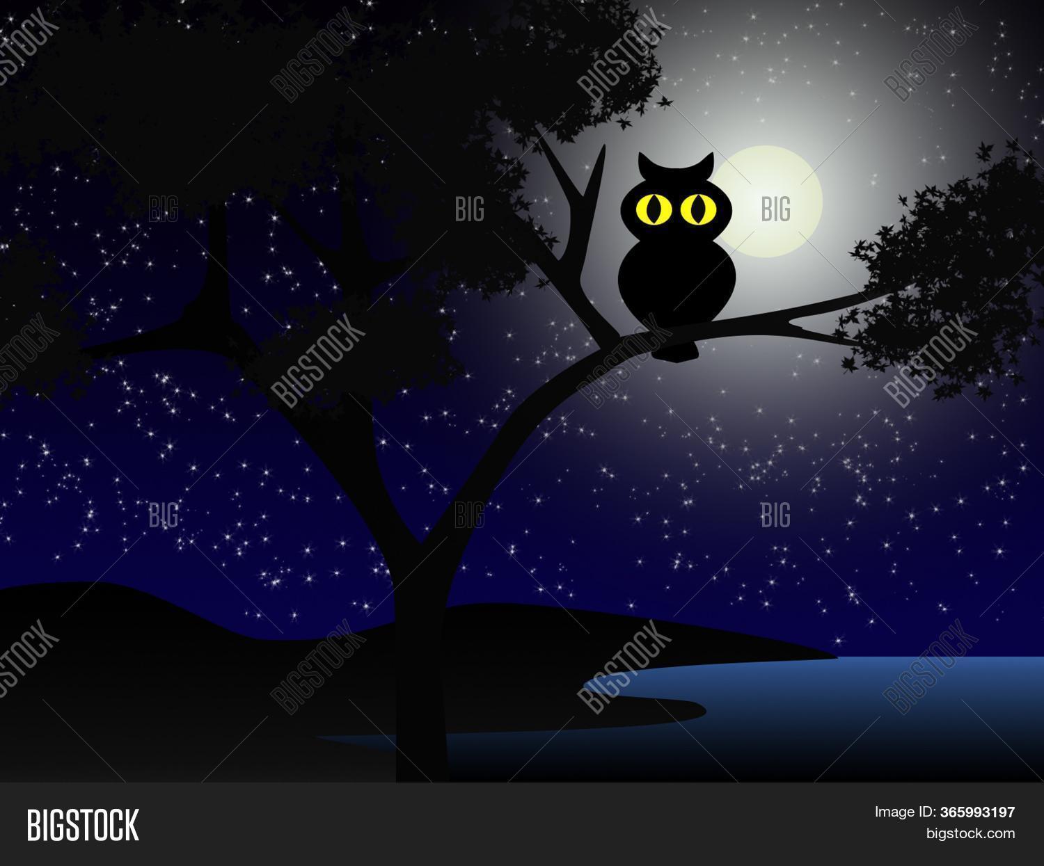 Owl Night Full Moon Image & Photo (Free Trial) | Bigstock
